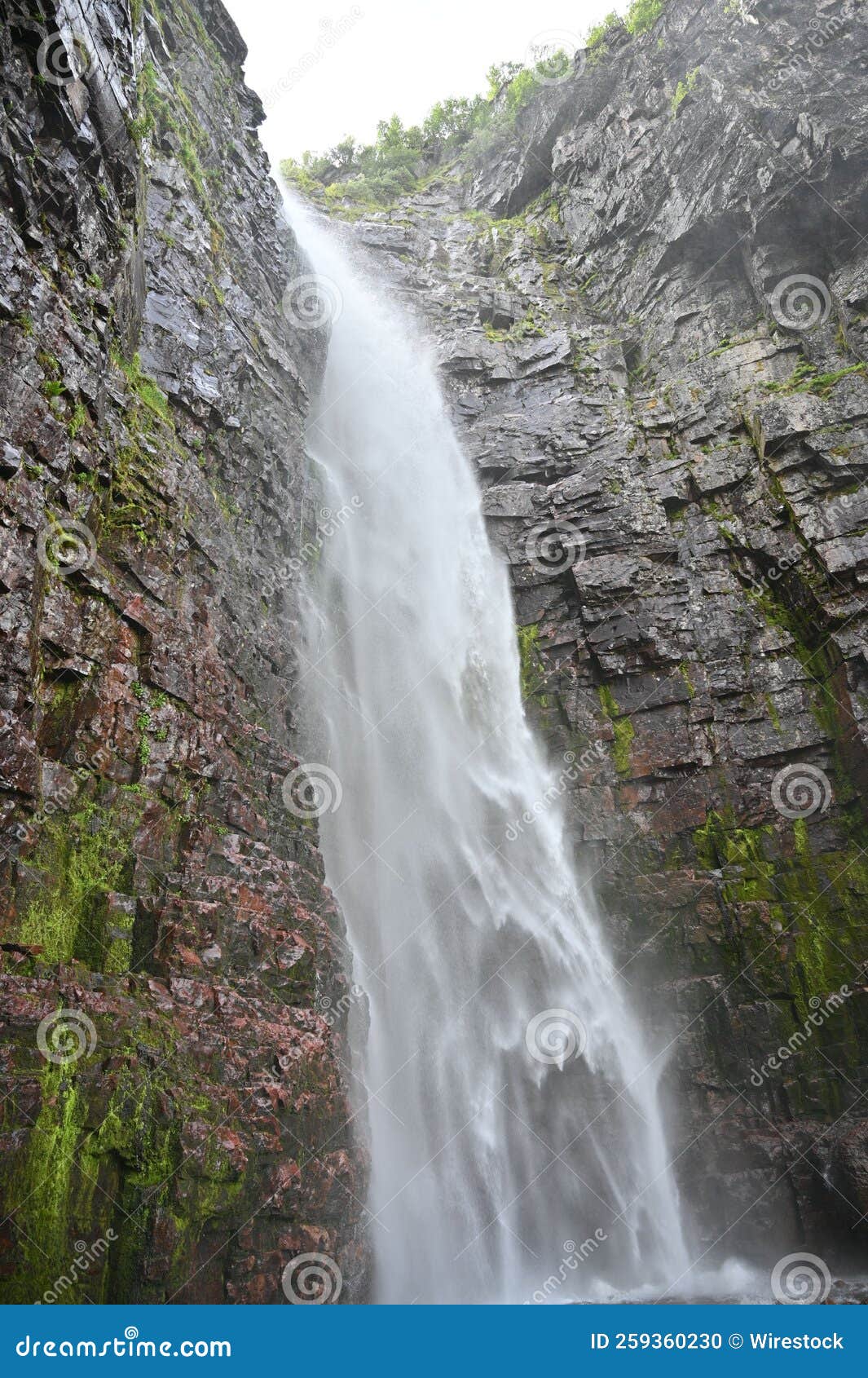 Vertical Shot of a Beautiful Waterfall Flowing in the Forest Stock ...
