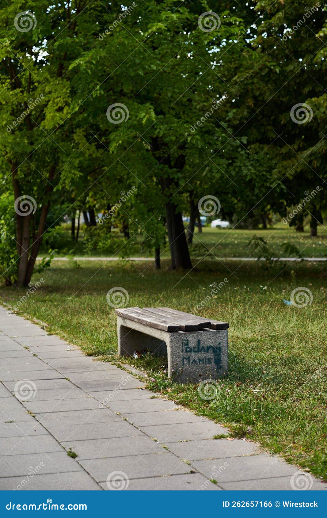 Vertical Shot of a Bench with Random Graffiti Writing in a Park Stock ...