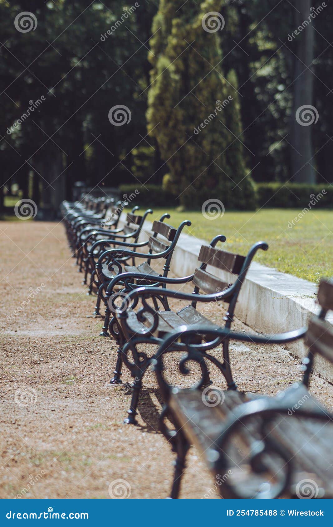 Vertical Shot of Benches in One Line in the Park Stock Photo - Image of ...
