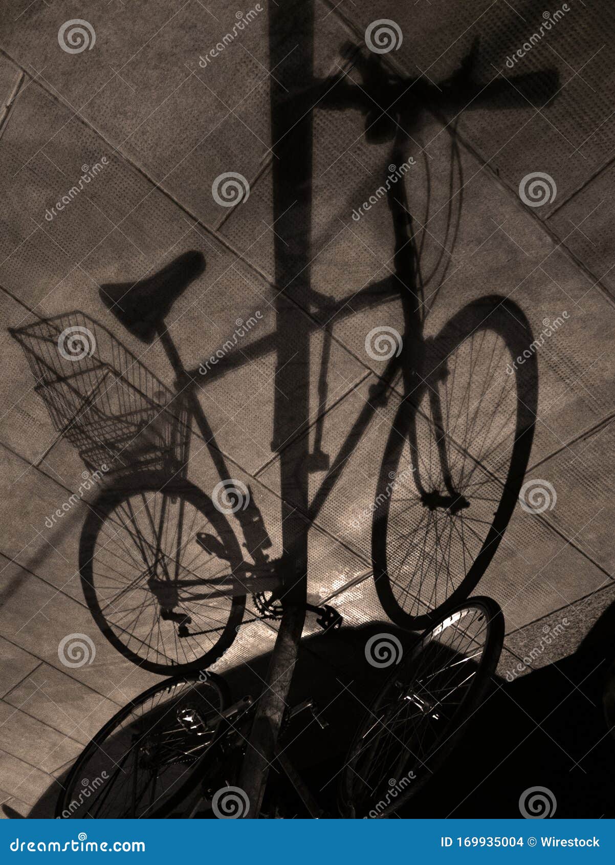 Vertical Shot of a Bicycle Shadow Reflecting on the Ground Stock Photo ...