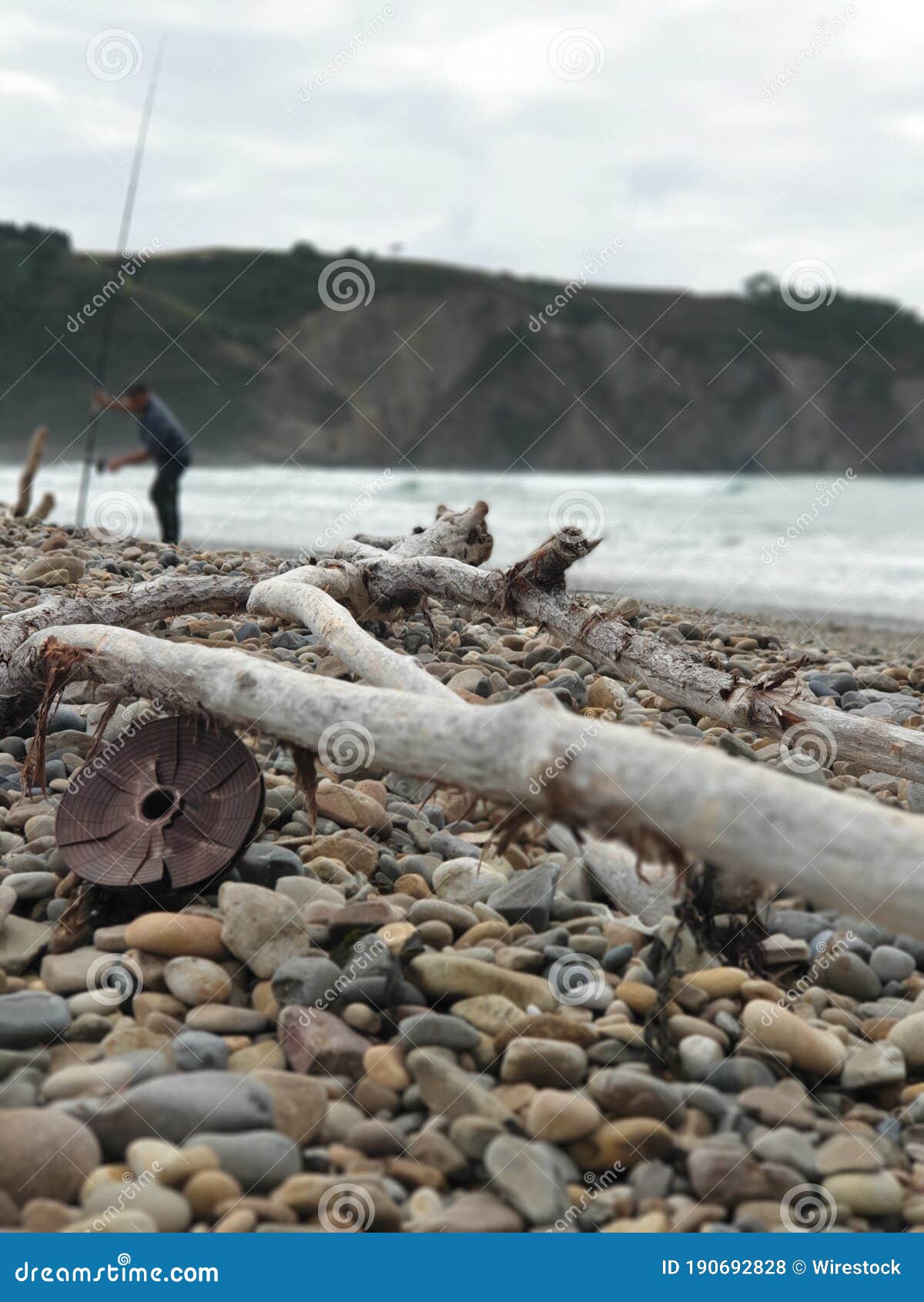 Vertical Shot of a Big Tree Branch on a Rocky Beach Stock Photo - Image ...