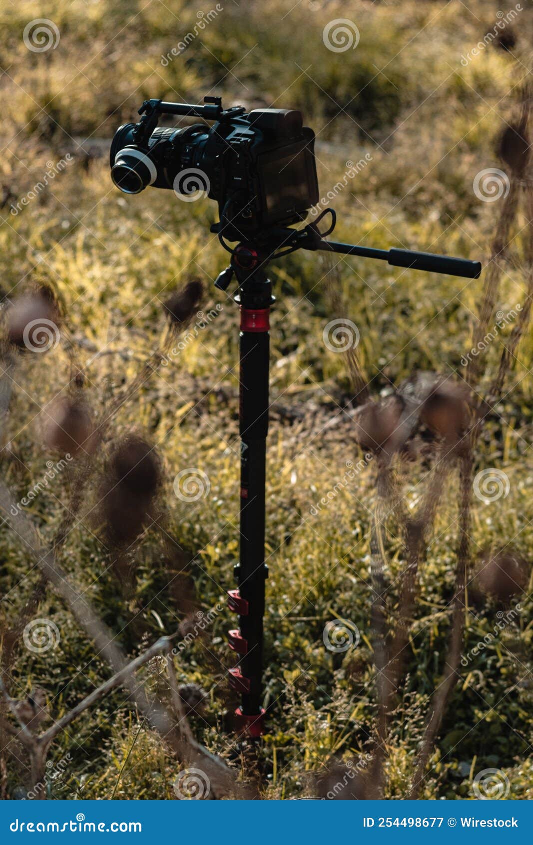 Vertical Shot of a Black Camera on the Grass Stock Image - Image of ...