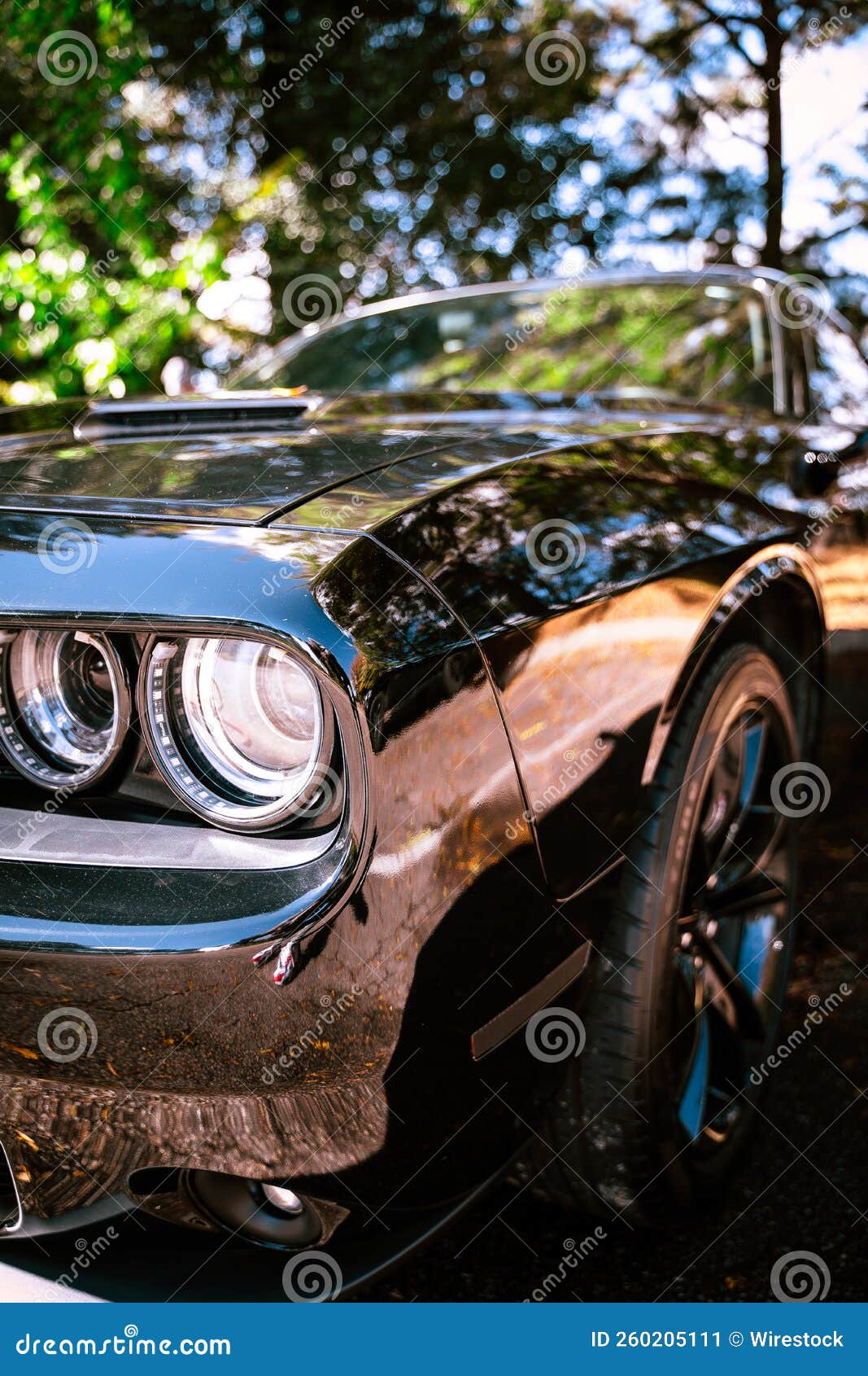 Vertical Shot of a Black Dodge Challenger Parked in a Park Editorial ...