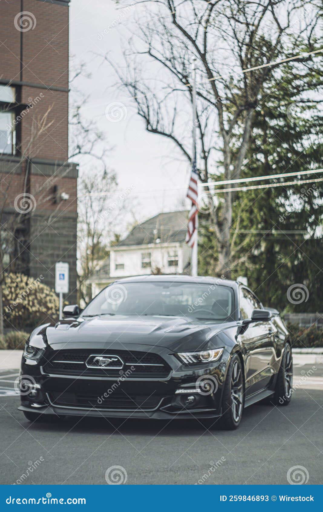 Vertical Shot of the Black 2018 Ford Mustang Ebony Editorial Stock ...