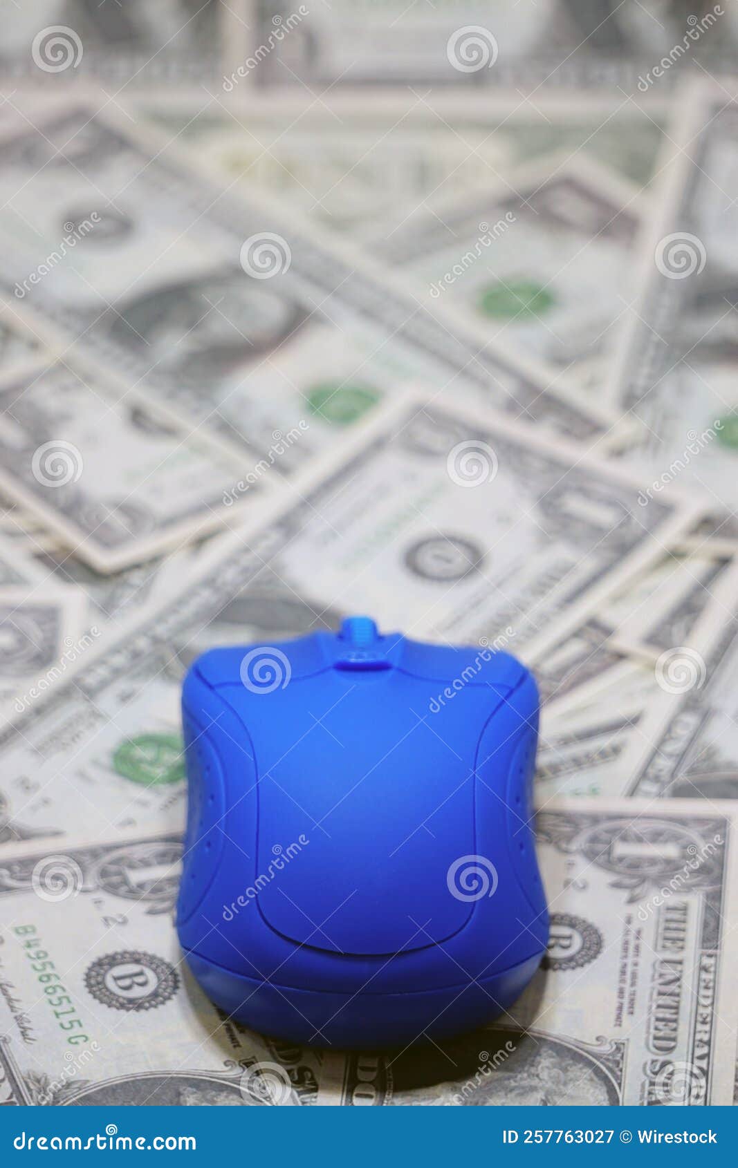 Mouse On Banknotes Royalty-Free Stock Image | CartoonDealer.com #17524804
