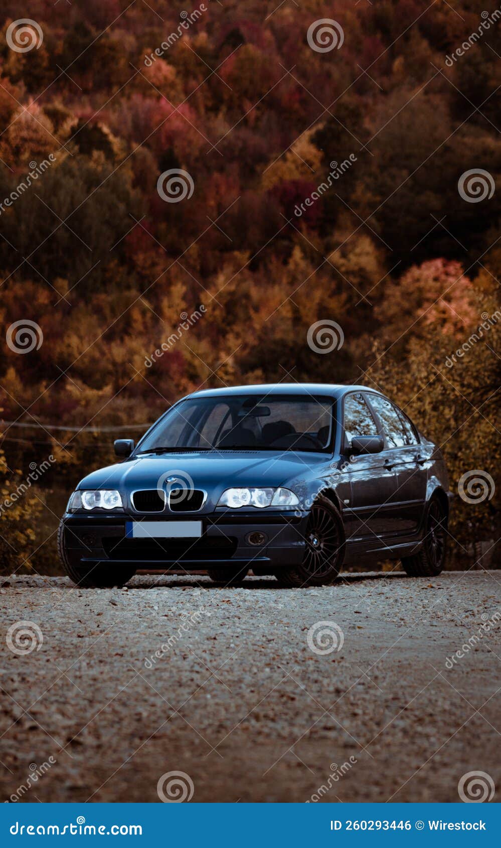 Vertical Shot of BMW E46 320D with Autumn Trees in the Background ...