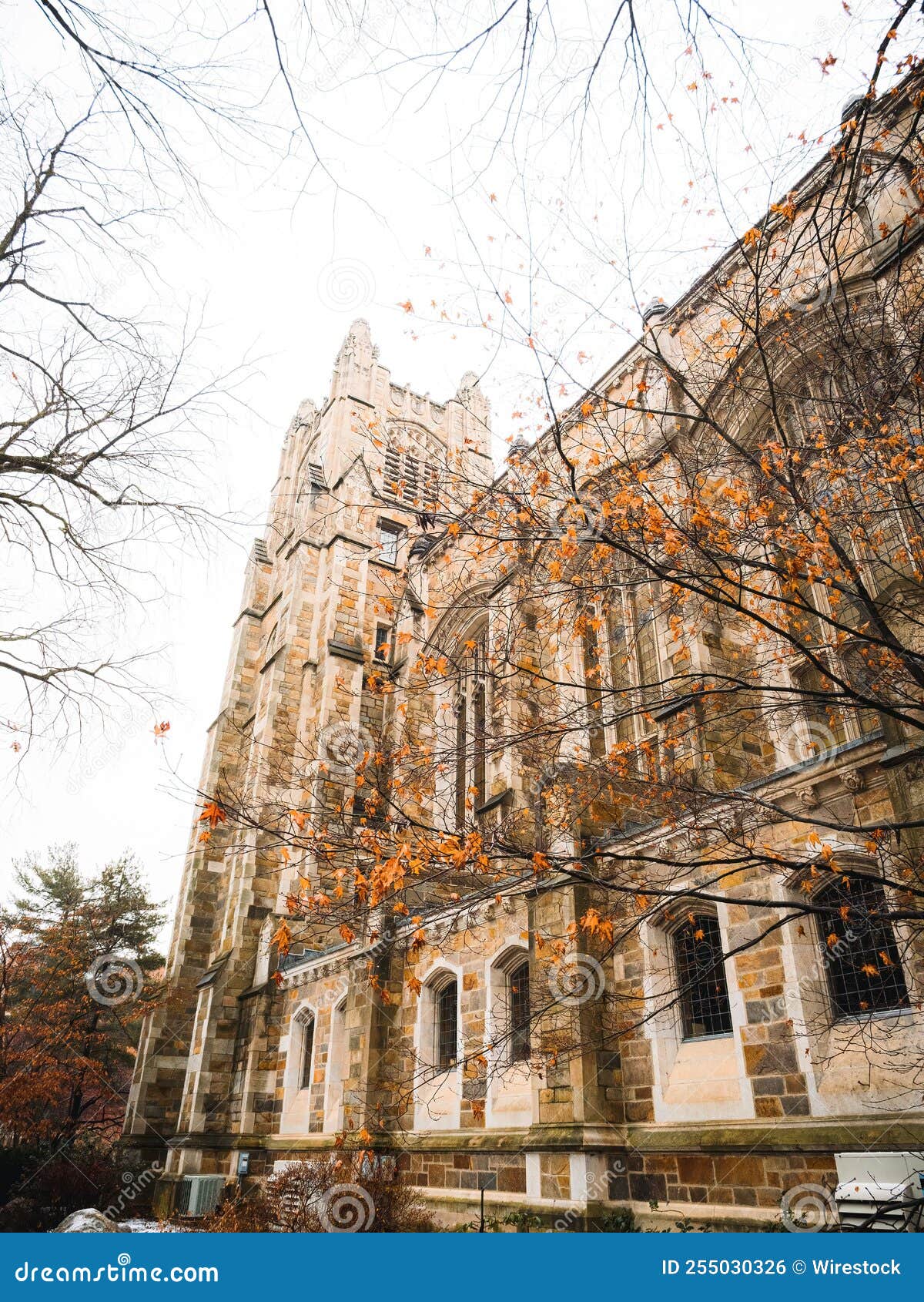 Vertical Shot of the Brick Wall Building in the Autumn Stock Photo ...