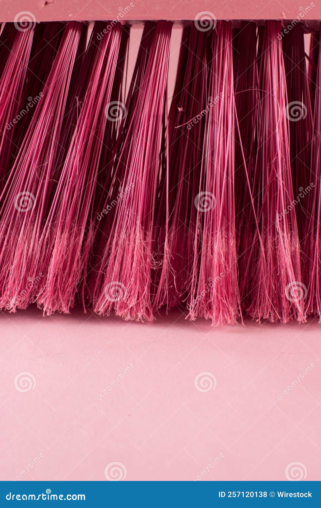 Vertical Shot of Bright Pink Broom Texture Stock Photo - Image of ...