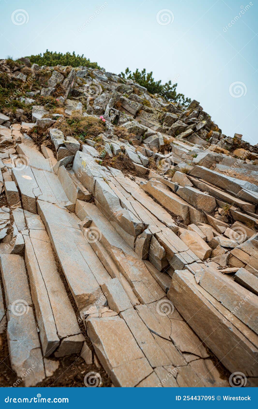 Vertical Shot of Broken Stones on the Ground Stock Image - Image of ...