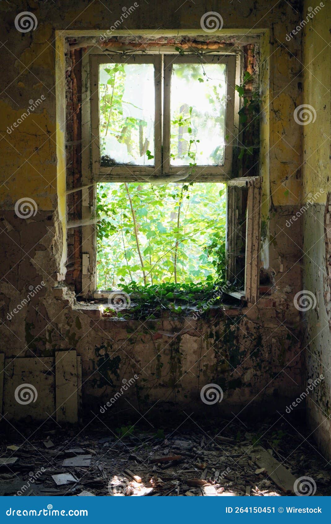 Vertical Shot of a Broken Window in an Abandoned Building Stock Image ...
