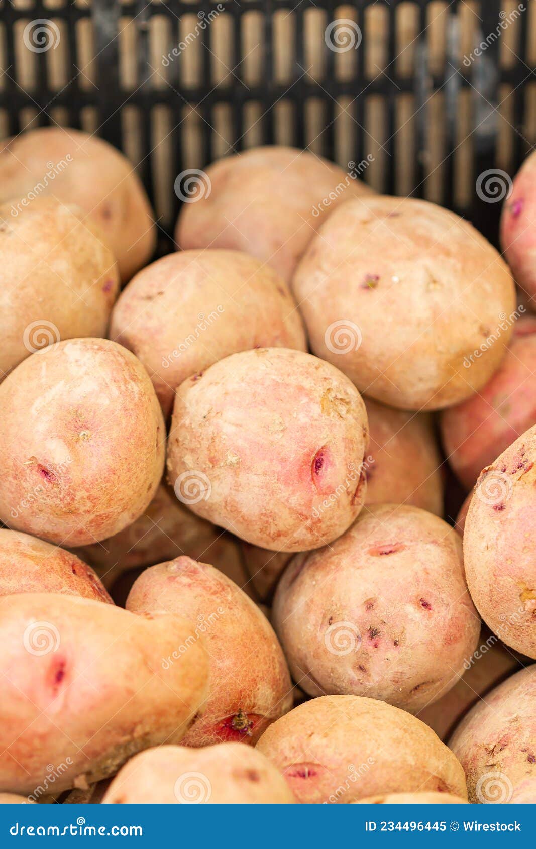 Vertical Shot of Bulk New Potatoes in a Box Stock Image - Image of ...