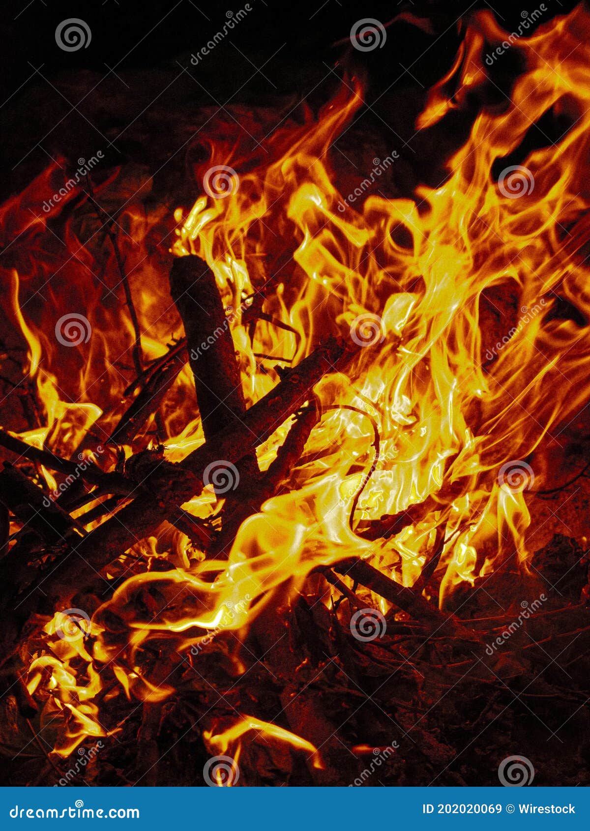 Vertical Shot of a Burning Fire in Flames in the Darkness Stock Image ...