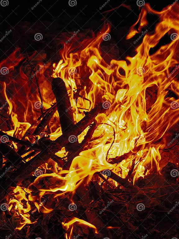 Vertical Shot of a Burning Fire in Flames in the Darkness Stock Image ...