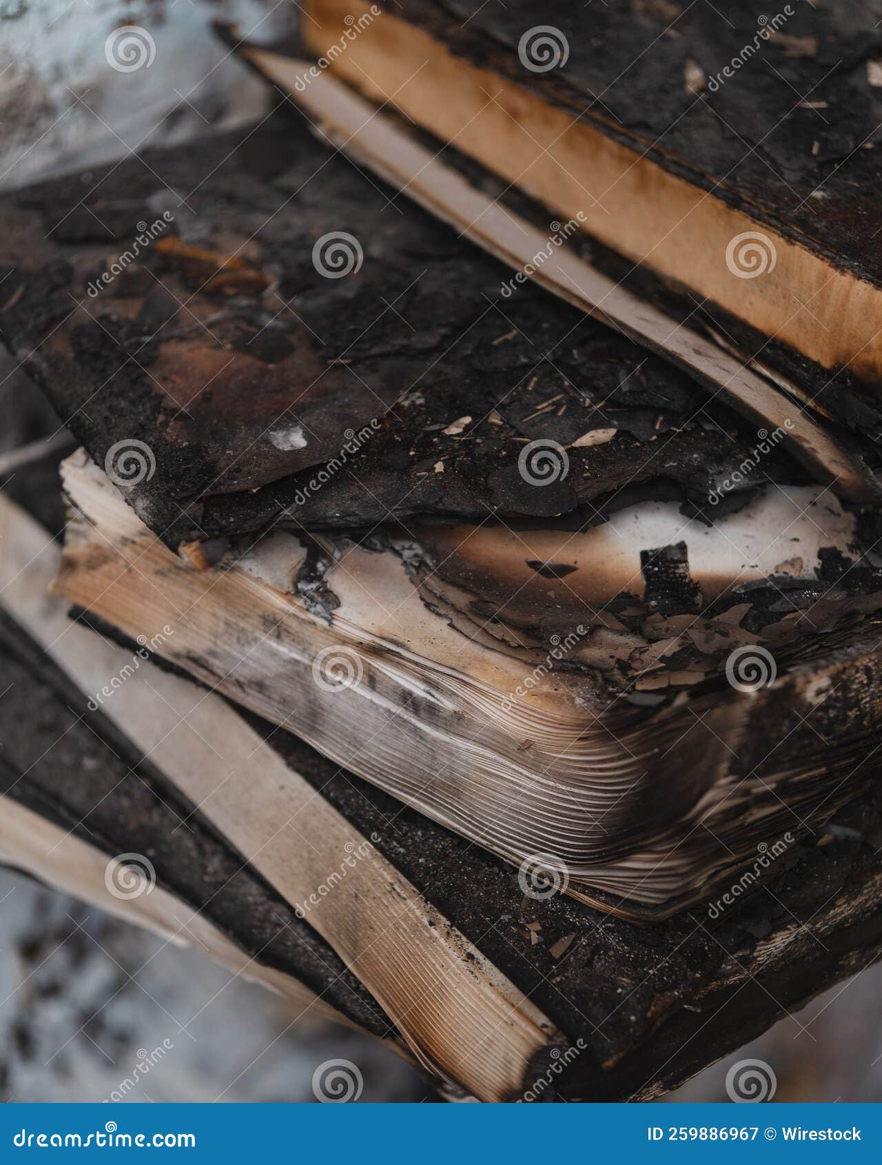 Vertical Shot of Burnt Books Stock Image - Image of texture, vintage ...
