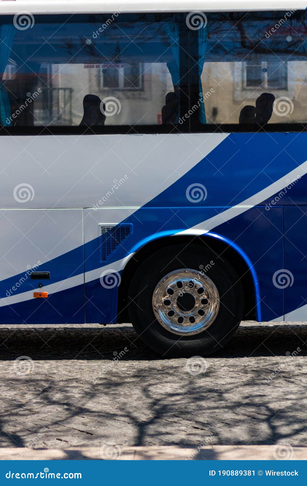 Vertical Shot of Bus with a Shadow of Branches on the Ground Stock ...