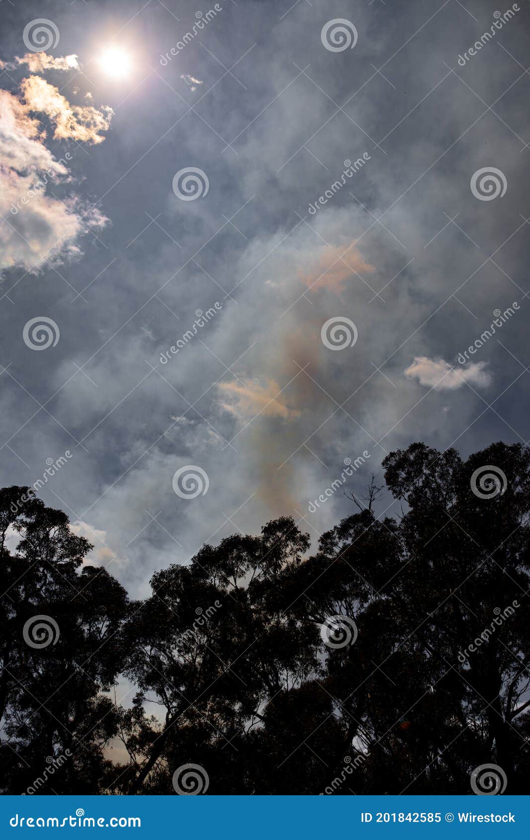 Vertical Shot of a Bushfire in Australia Stock Image - Image of sunny ...