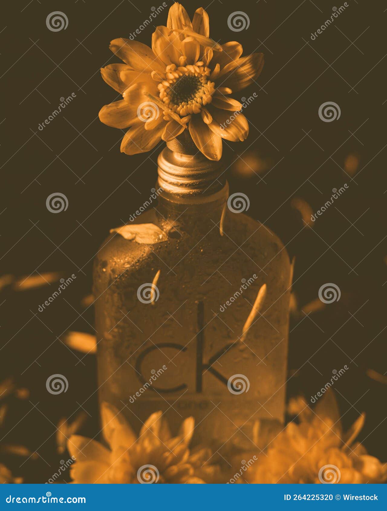 Vertical Shot of the Calvin Klein One Perfume with Flower Decorations ...