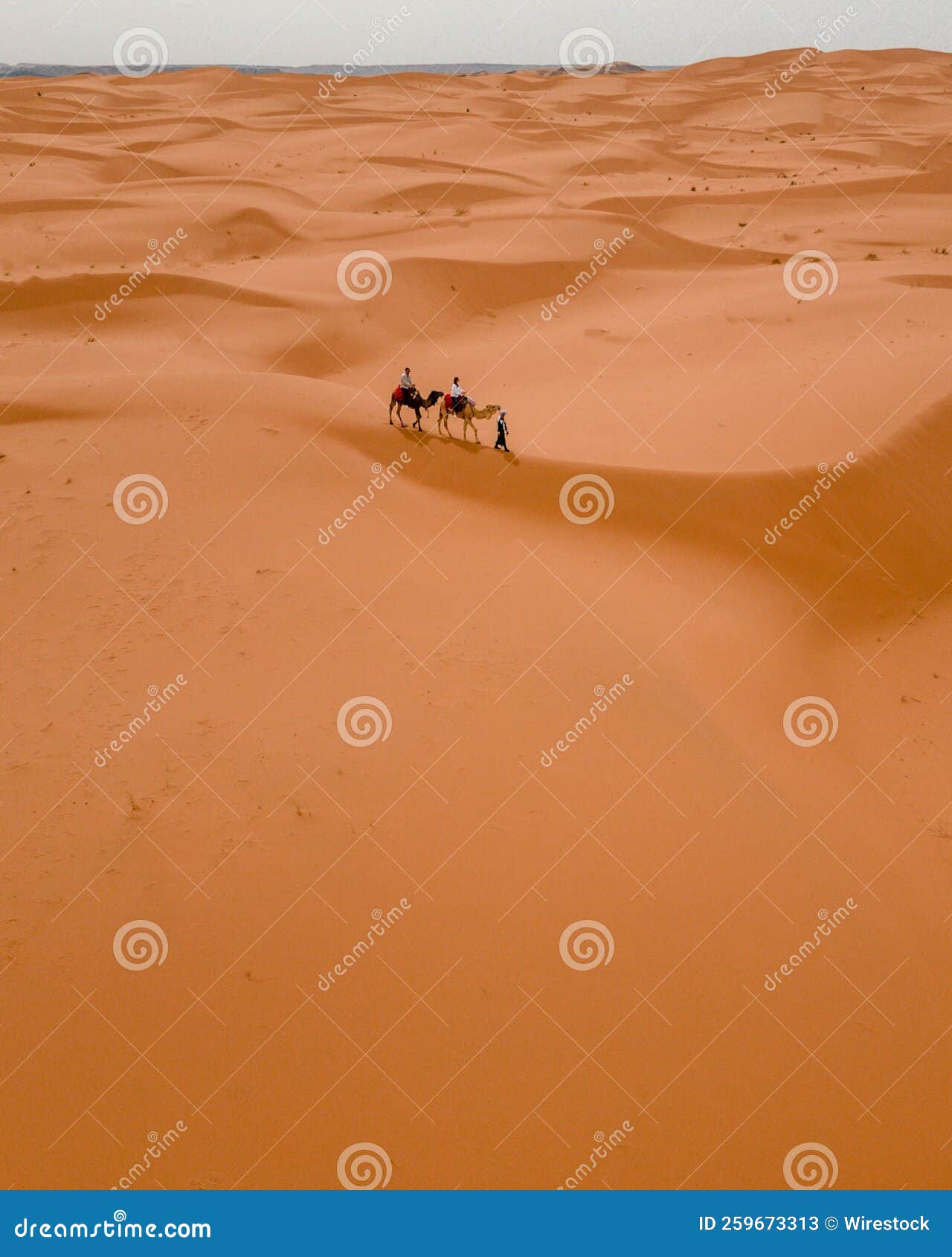 Vertical Shot of a Camels and Men Moving in a Desert Stock Image ...