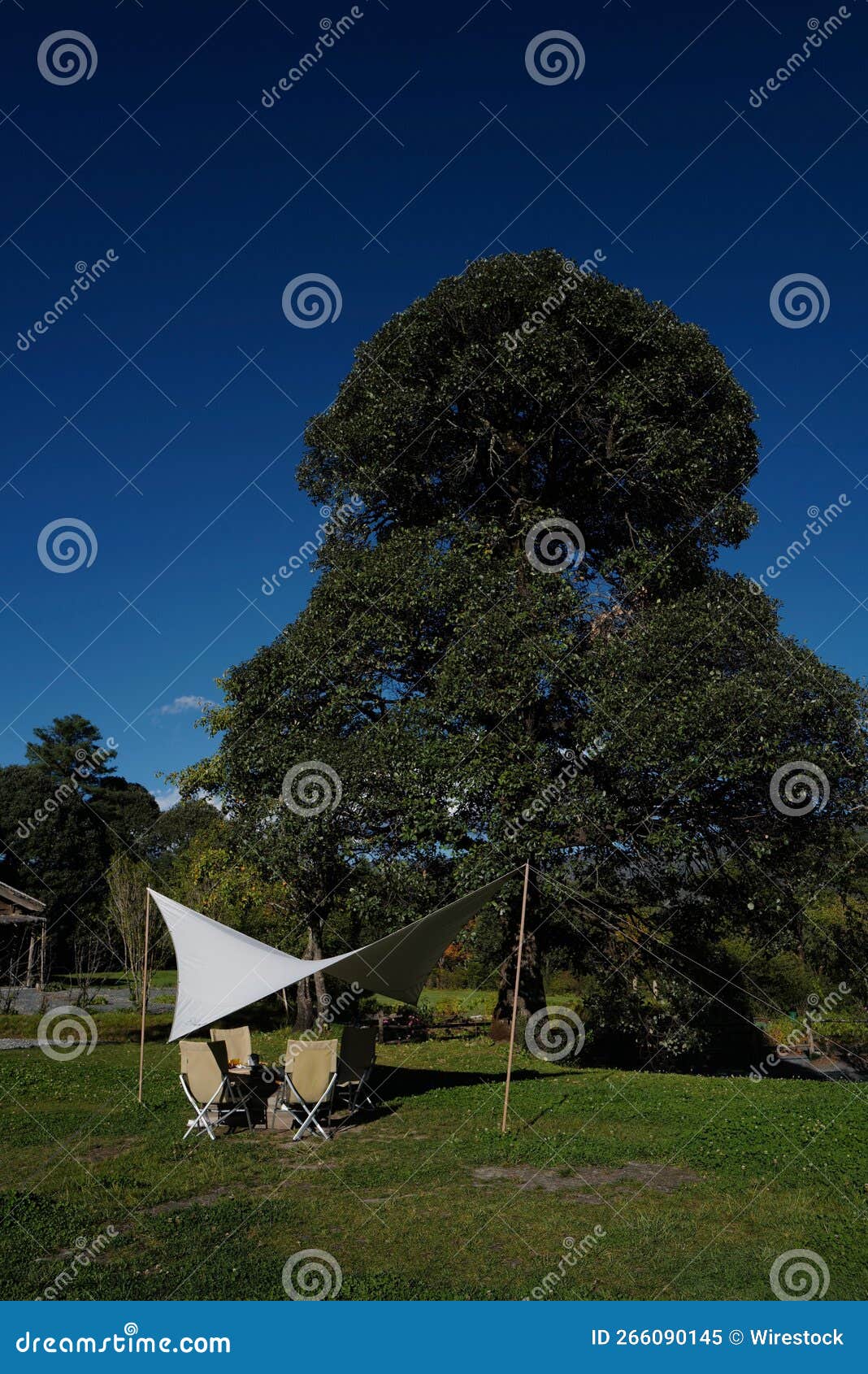 Vertical Shot of a Camp Under a Tree. Stock Image - Image of camp ...