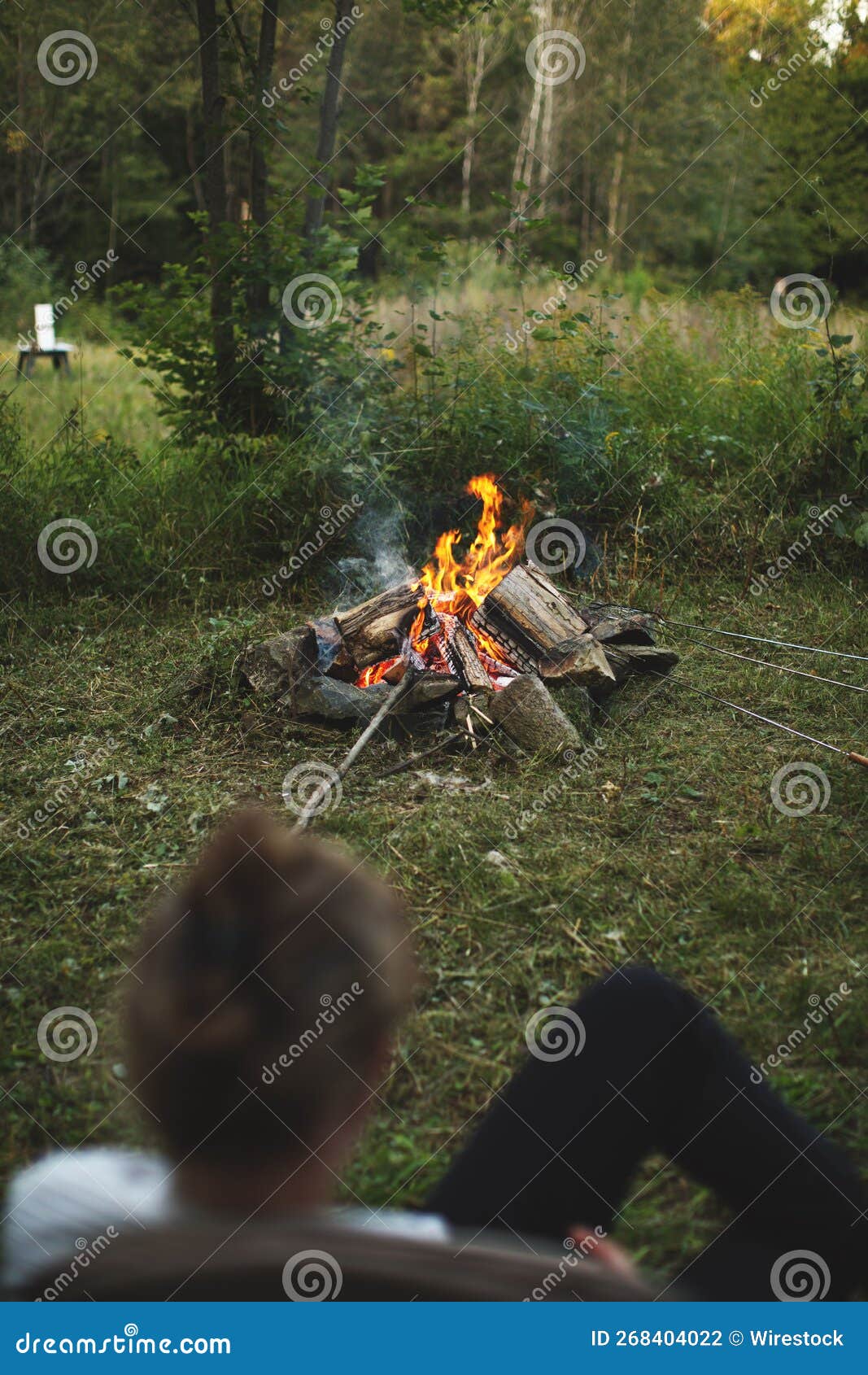 Vertical Shot of a Campfire on the Ground Surrounded by Greenery in ...