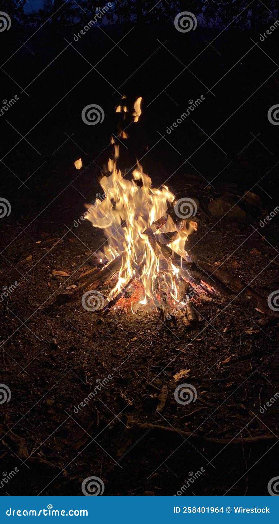 Vertical Shot of a Campfire at Night Stock Photo - Image of burn, night ...