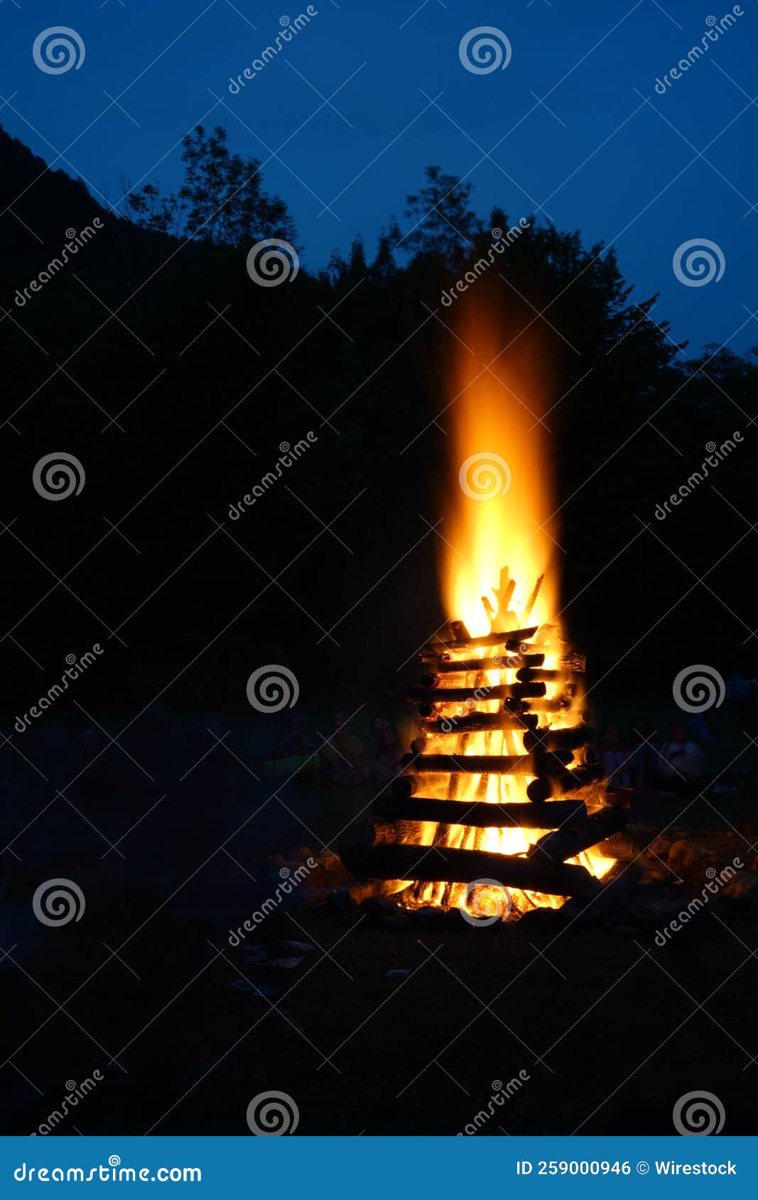 Vertical Shot of a Campfire at Night in a Forest Stock Photo - Image of ...