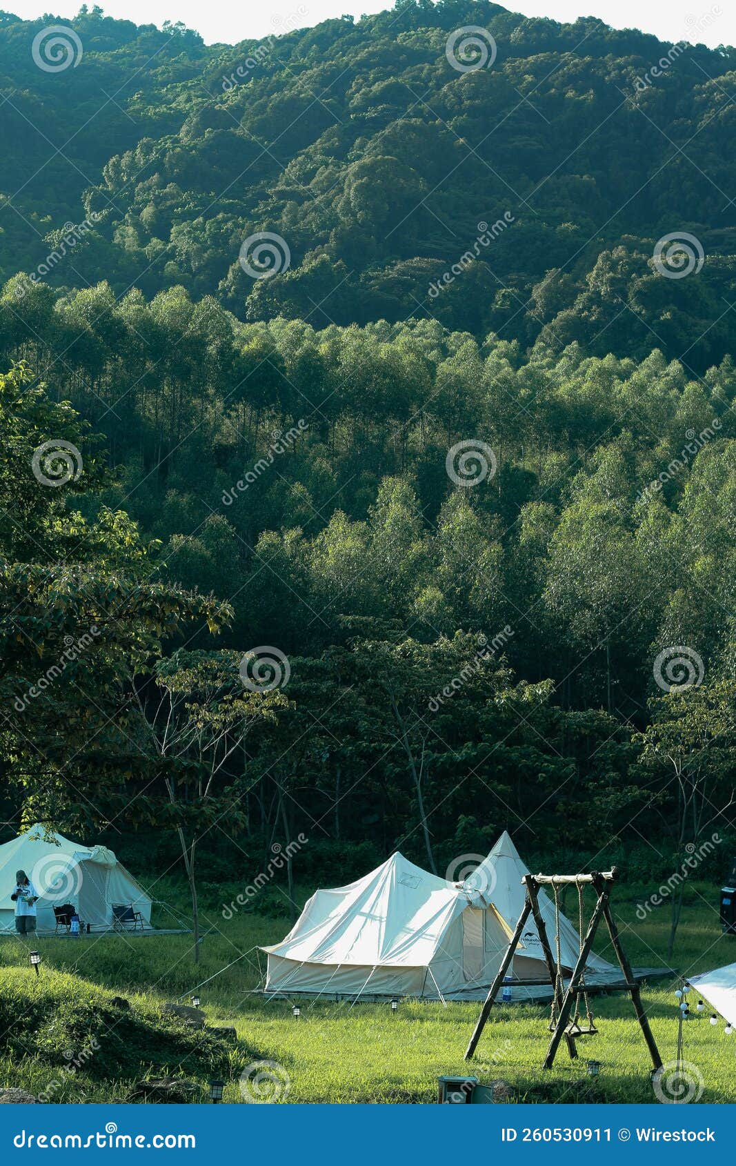Vertical Shot of Camping Tents in the Green Forest Editorial Photo ...
