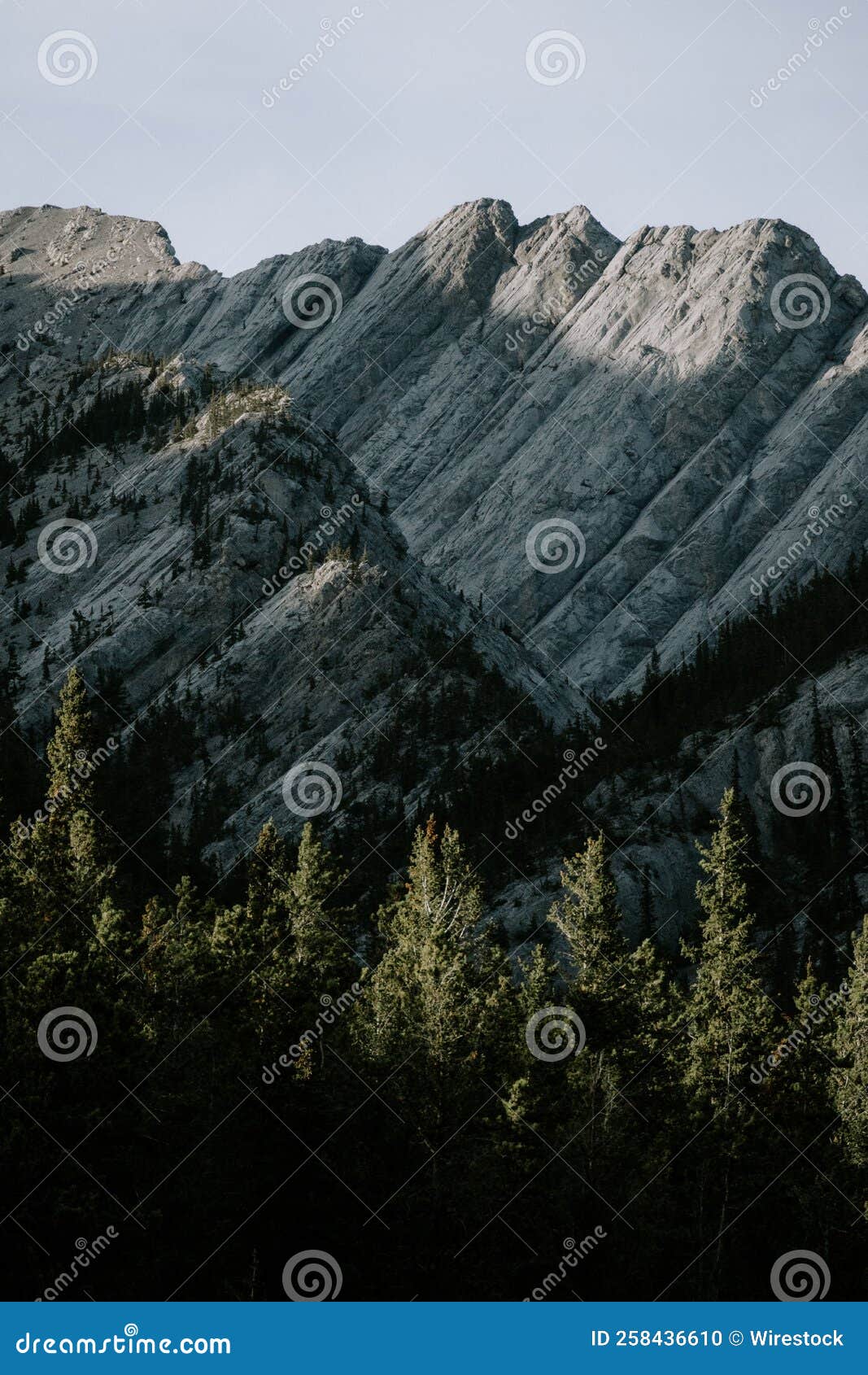 Vertical Shot of Canadian Rocky Mountains and Dense Trees Under the ...