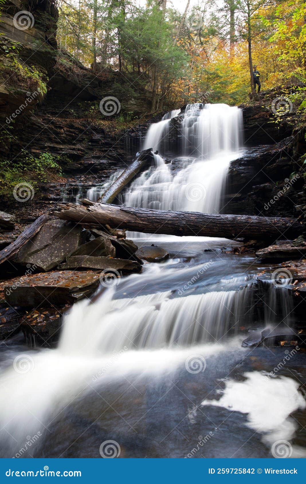 Vertical Shot of a Cascading Flowing Waterfall in a Forest Stock Photo ...