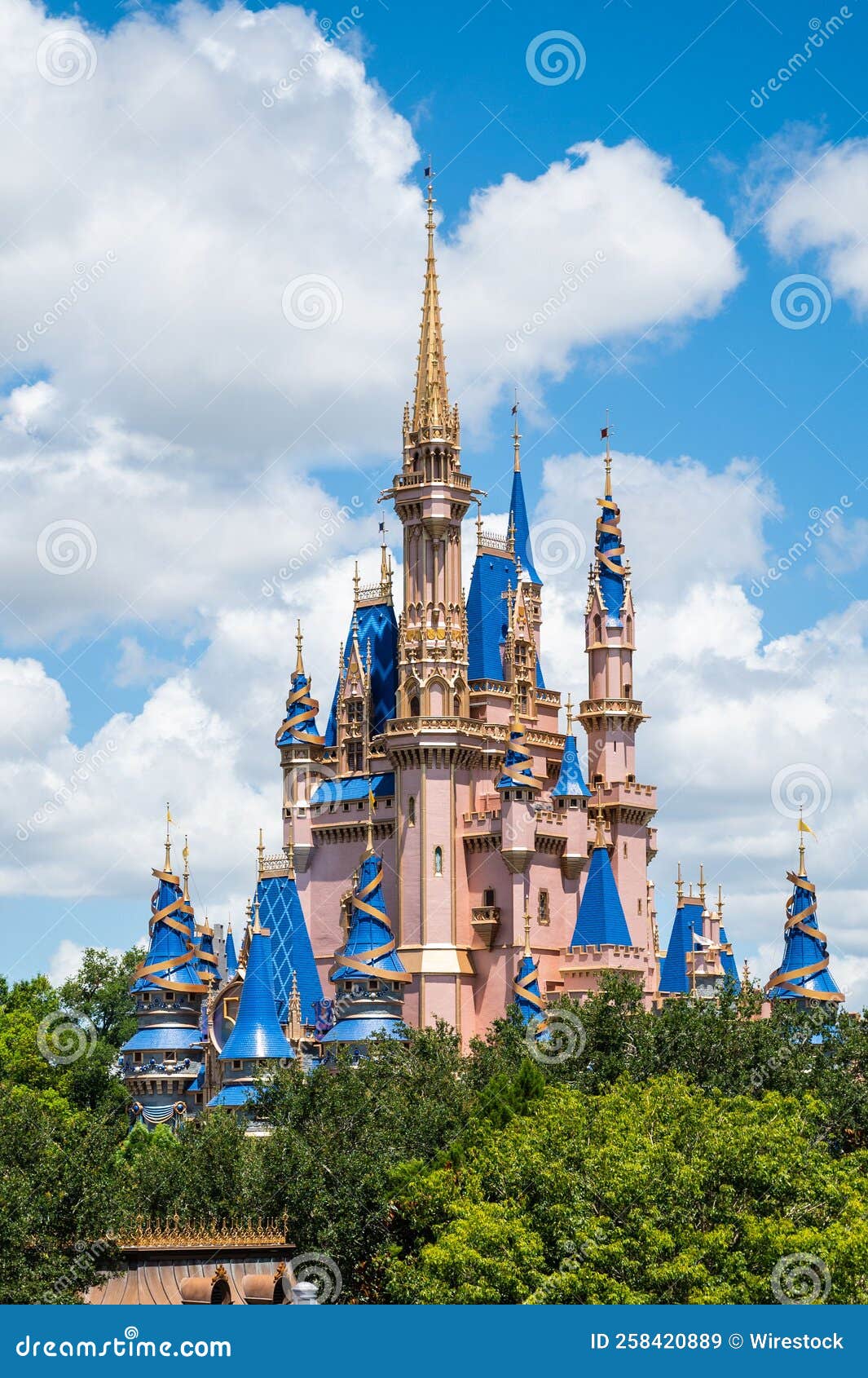 Vertical Shot of the Cinderella Castle in the Walt Disney World ...
