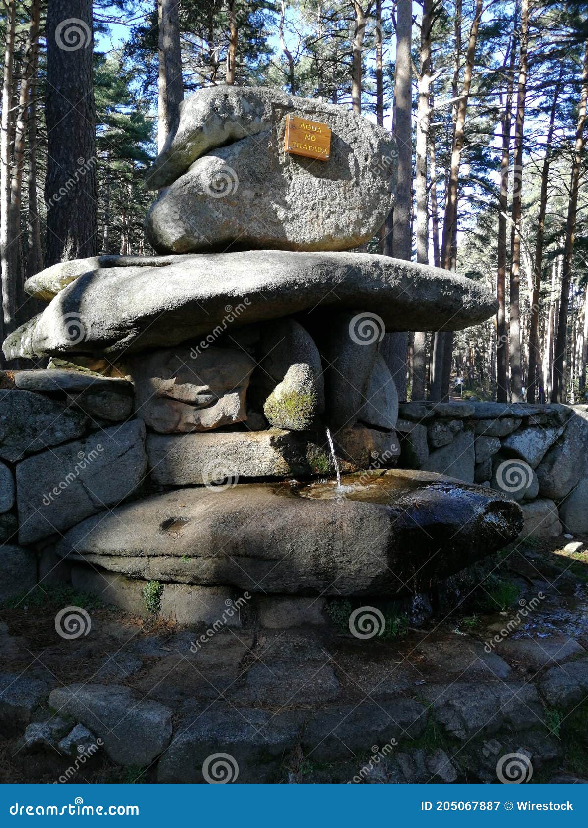 Vertical Shot of Clean Water from the Spring with Stones Stock Image ...