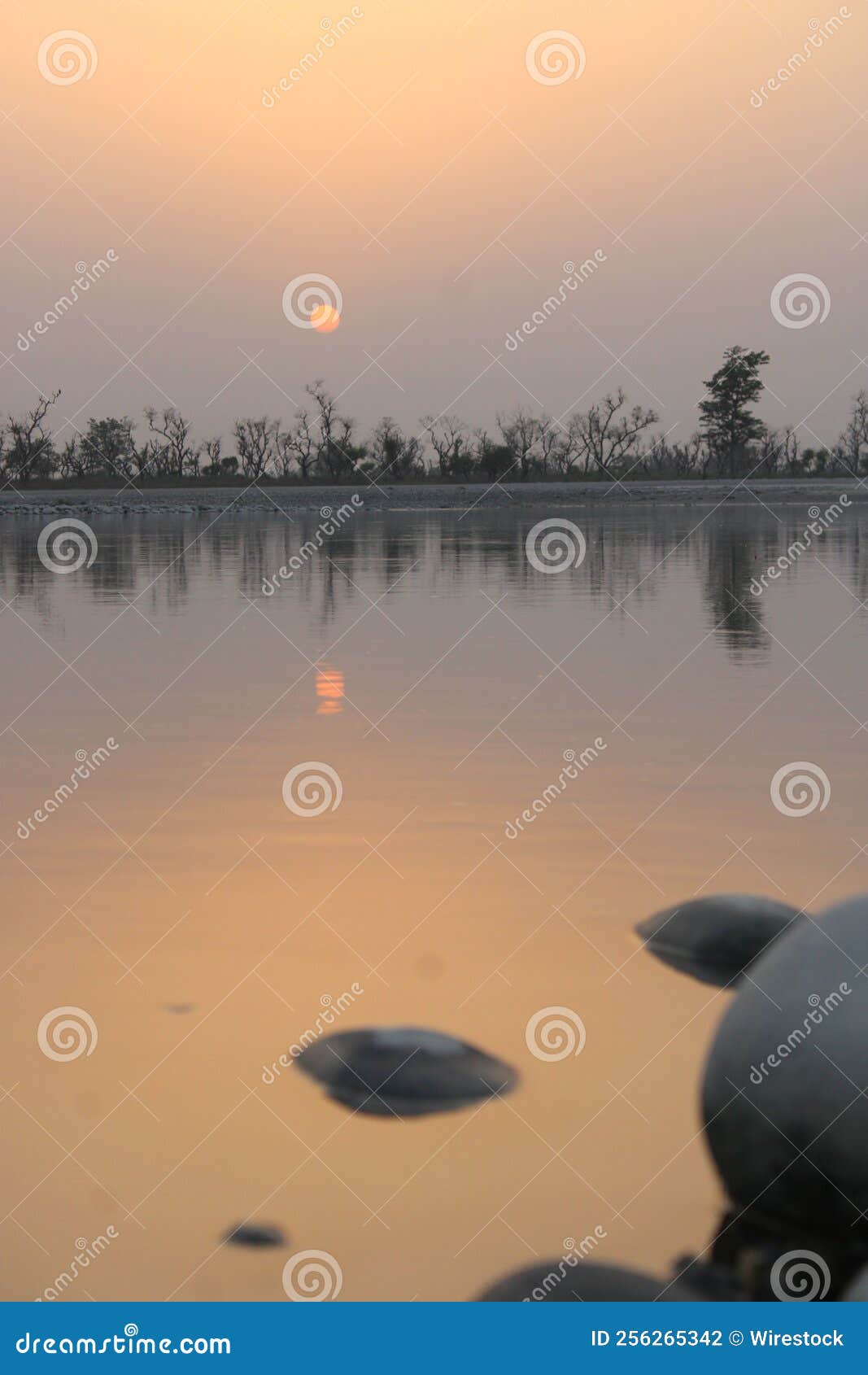 Vertical Shot of a Clear Tranquil Lake Water with Sunset Sky Reflecting ...