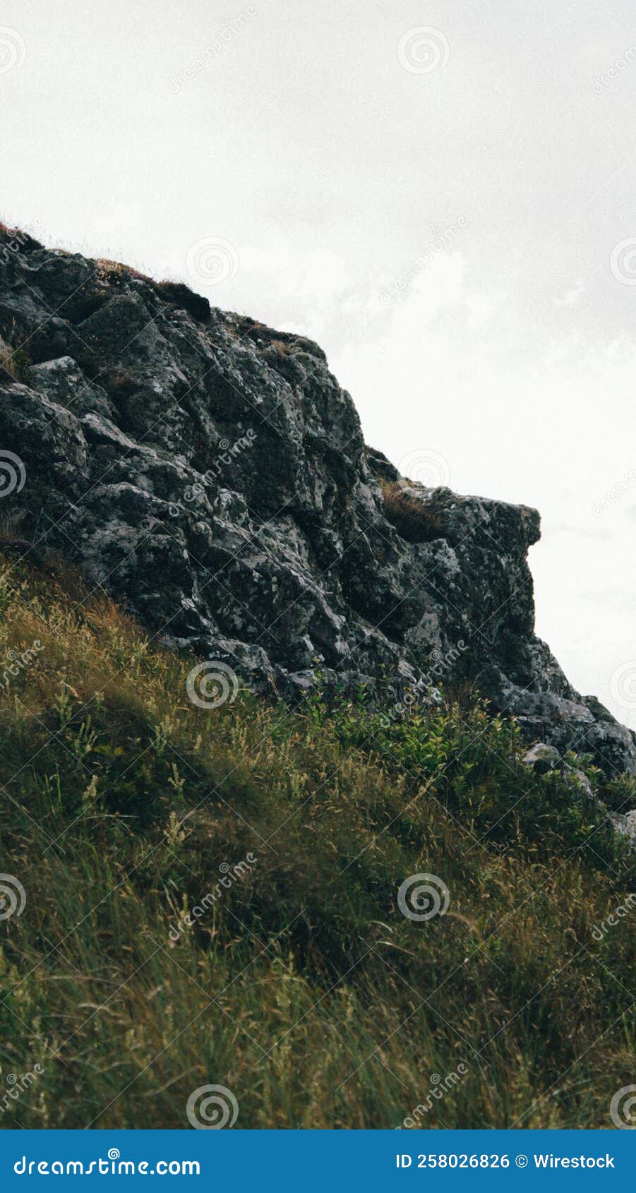 Vertical Shot of a Cliff Covered in Moss with Foggy Background Stock ...