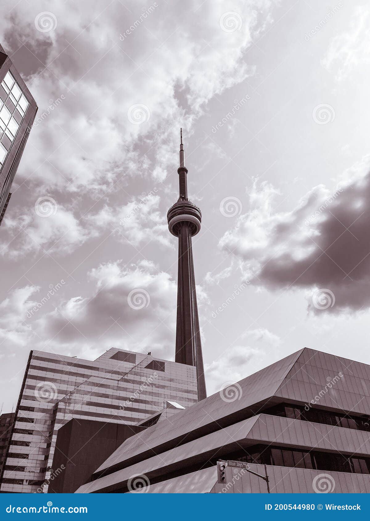 Toronto Vertical View Royalty-Free Stock Photo | CartoonDealer.com #101547