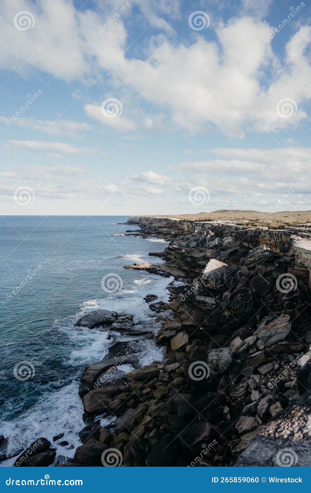 Vertical Shot of the Coastal Beach with Foamy Waves Stock Photo - Image ...