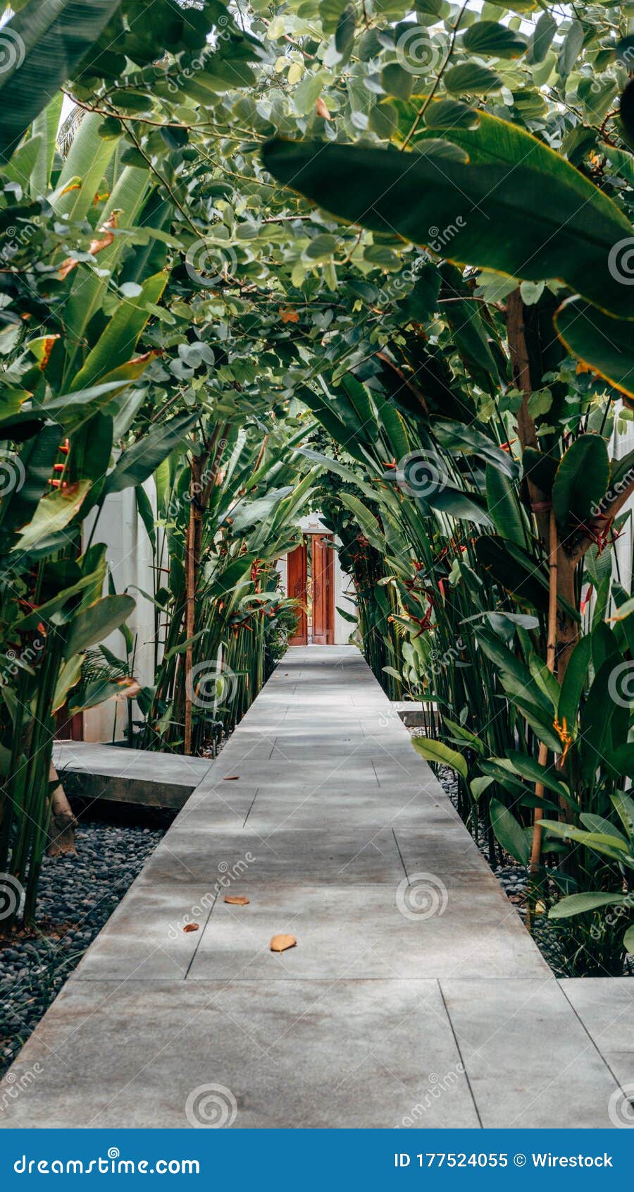 Concrete Pathway In Garden Royalty-Free Stock Photography ...