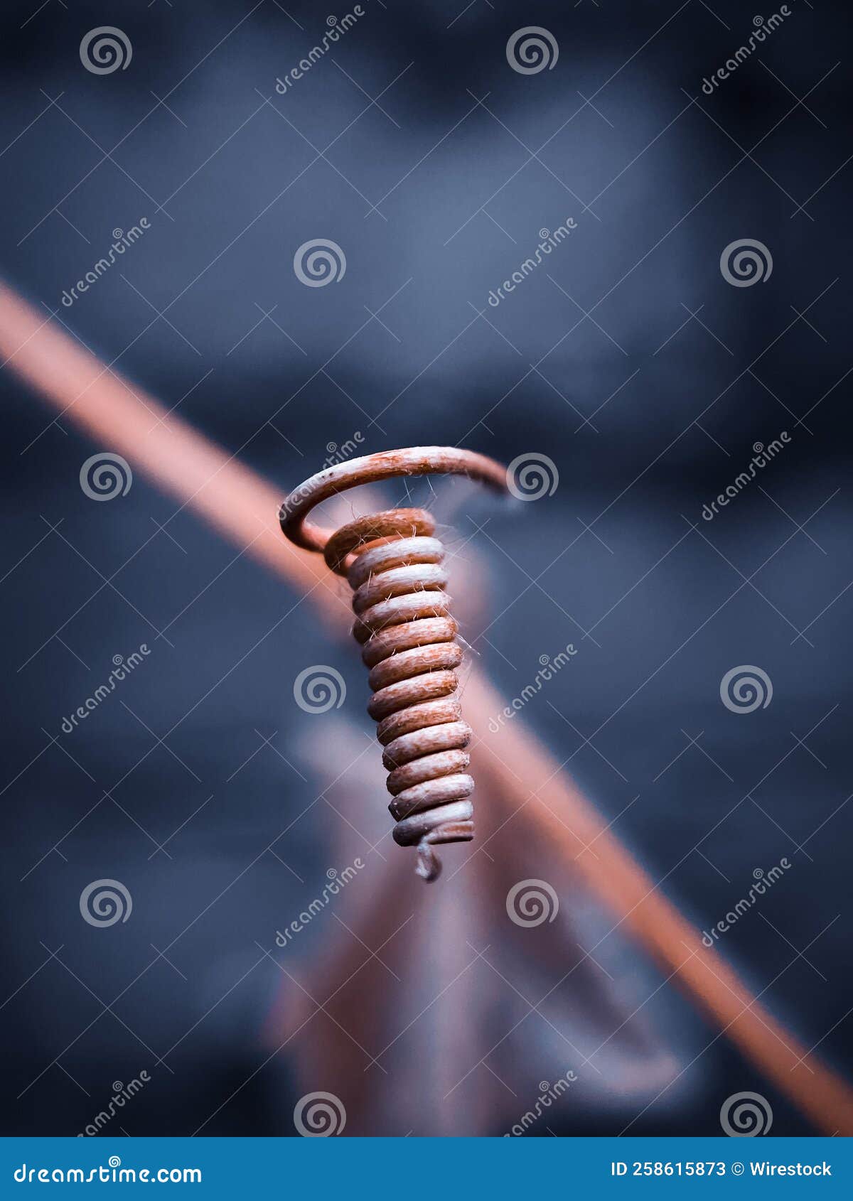 Vertical Shot of a Copper Spiral Wire with Cobweb Stock Image - Image ...