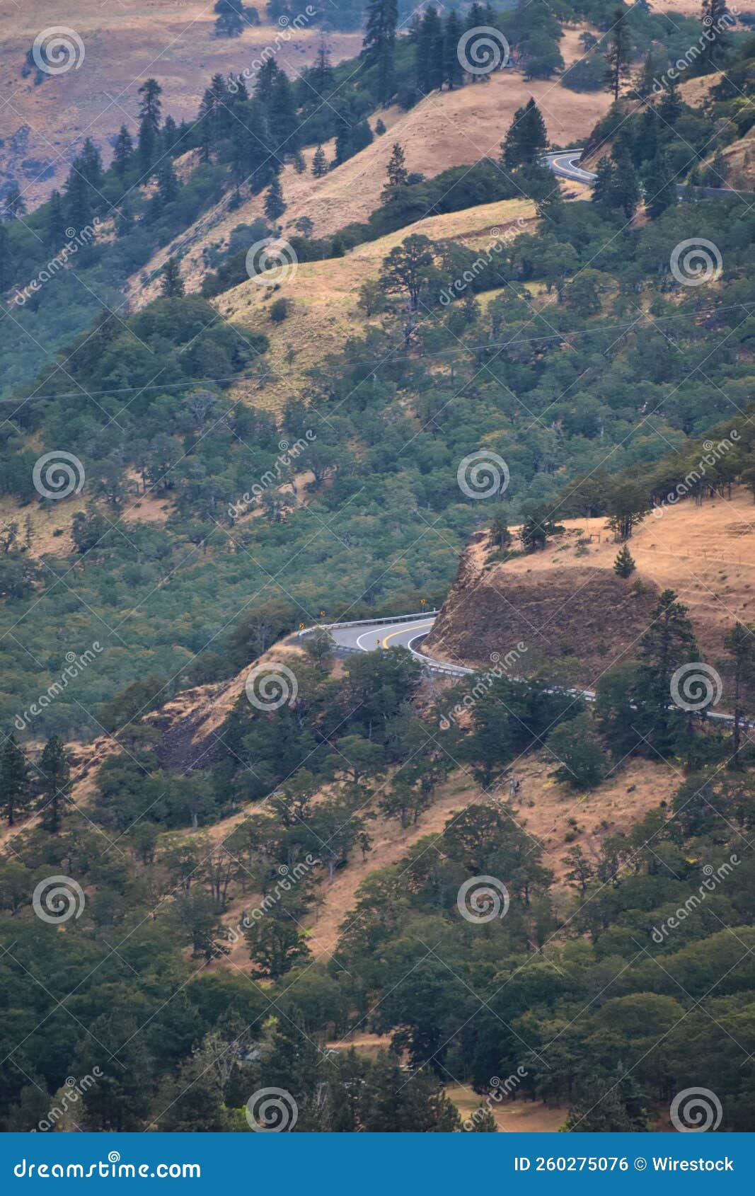 Vertical Shot of Countryside Road Surrounded by Trees Stock Photo ...