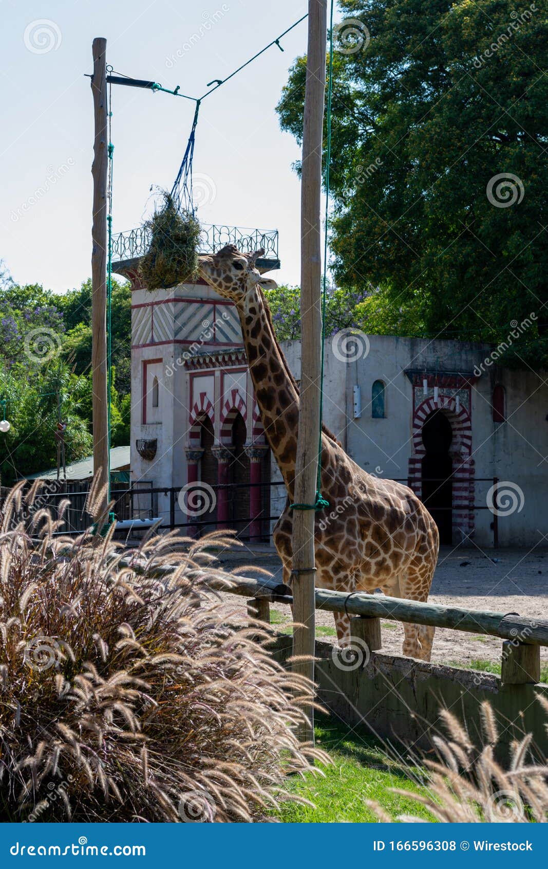Vertical Shot of a Cute Giraffe Standing Inside the Fencing in the Zoo ...