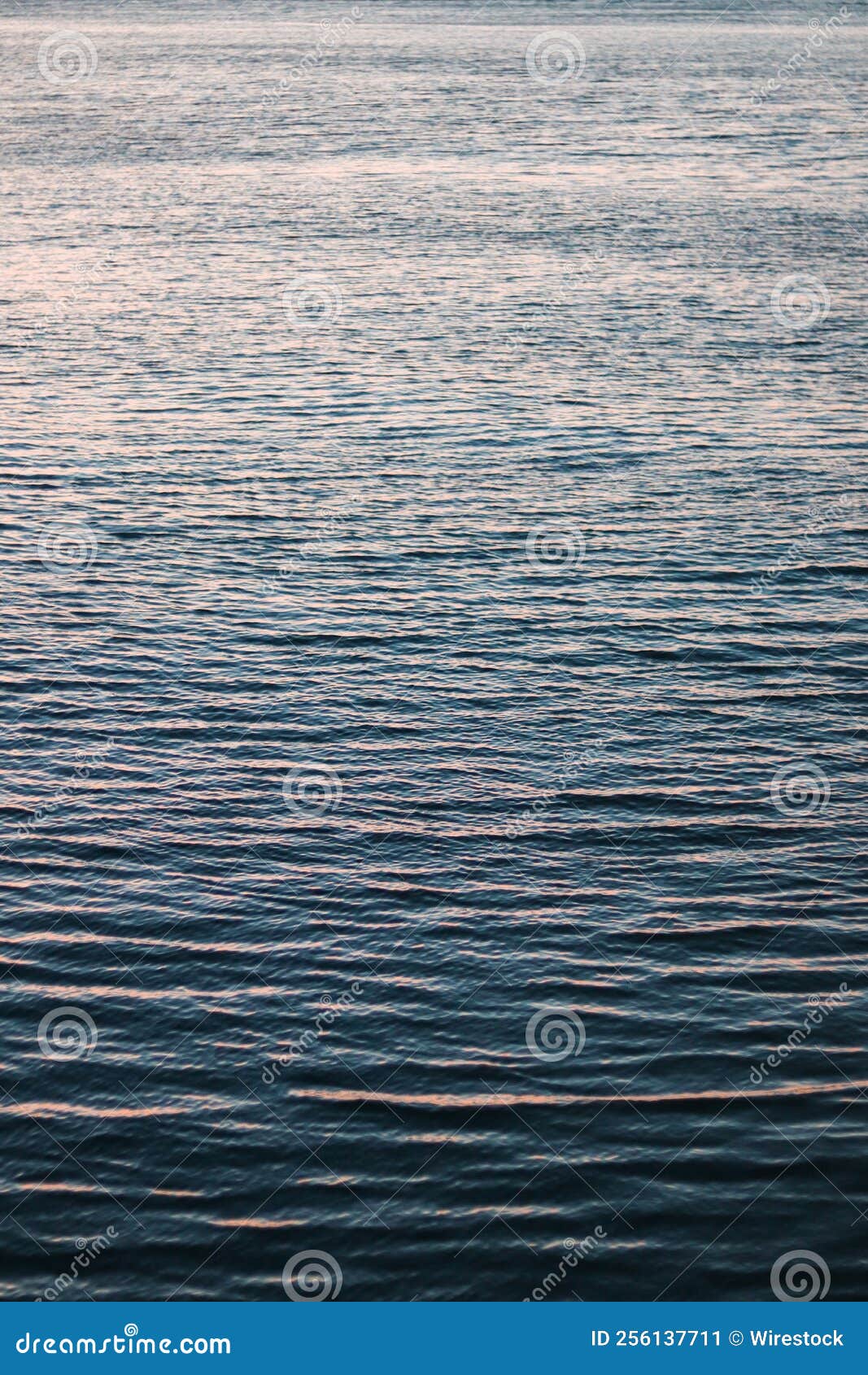 Vertical Shot of a Deep Blue Ocean Calm Water Stock Image - Image of ...