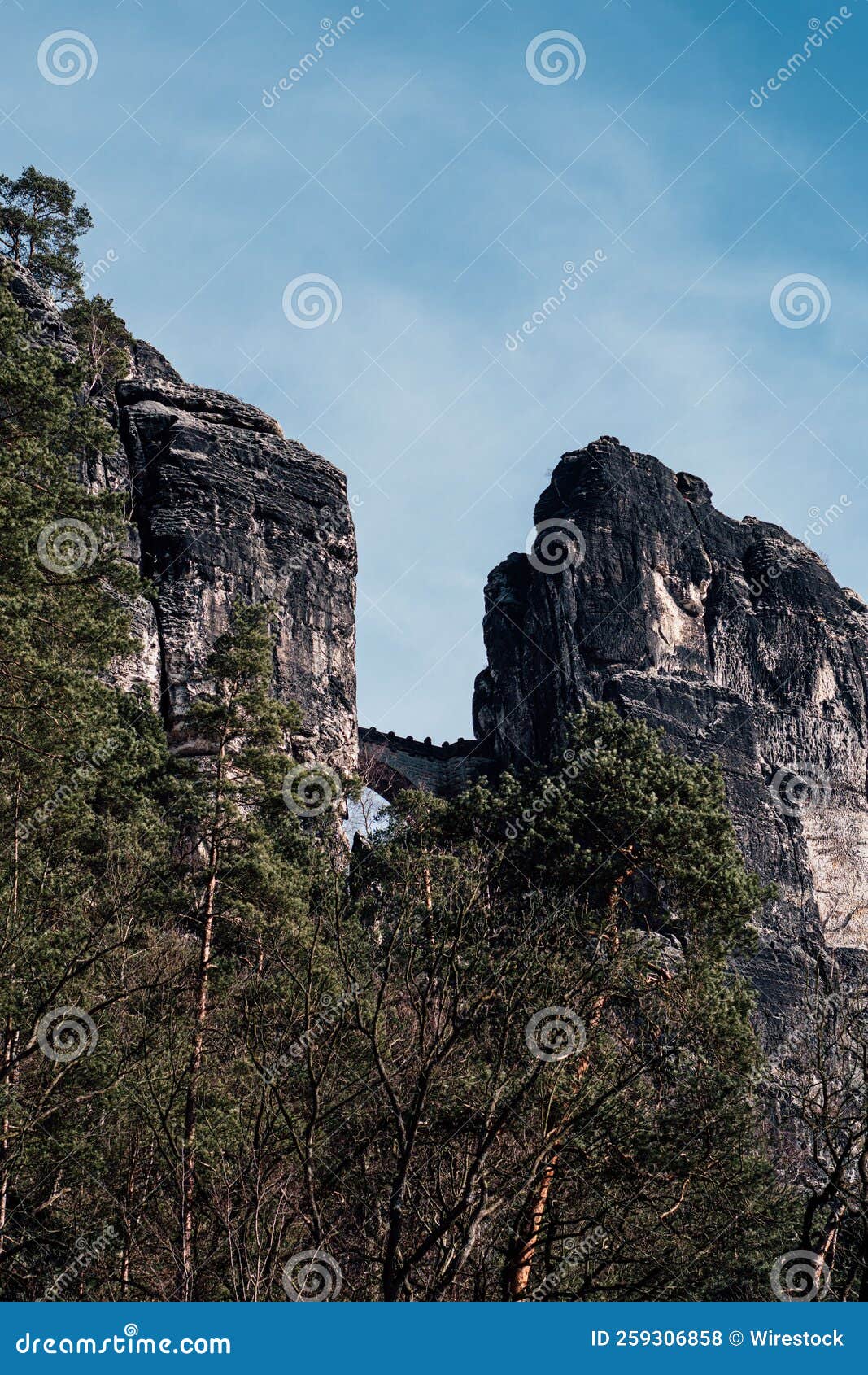 Vertical Shot of Dense Trees Over the Rocky Cliffs Under the Bright Sky ...