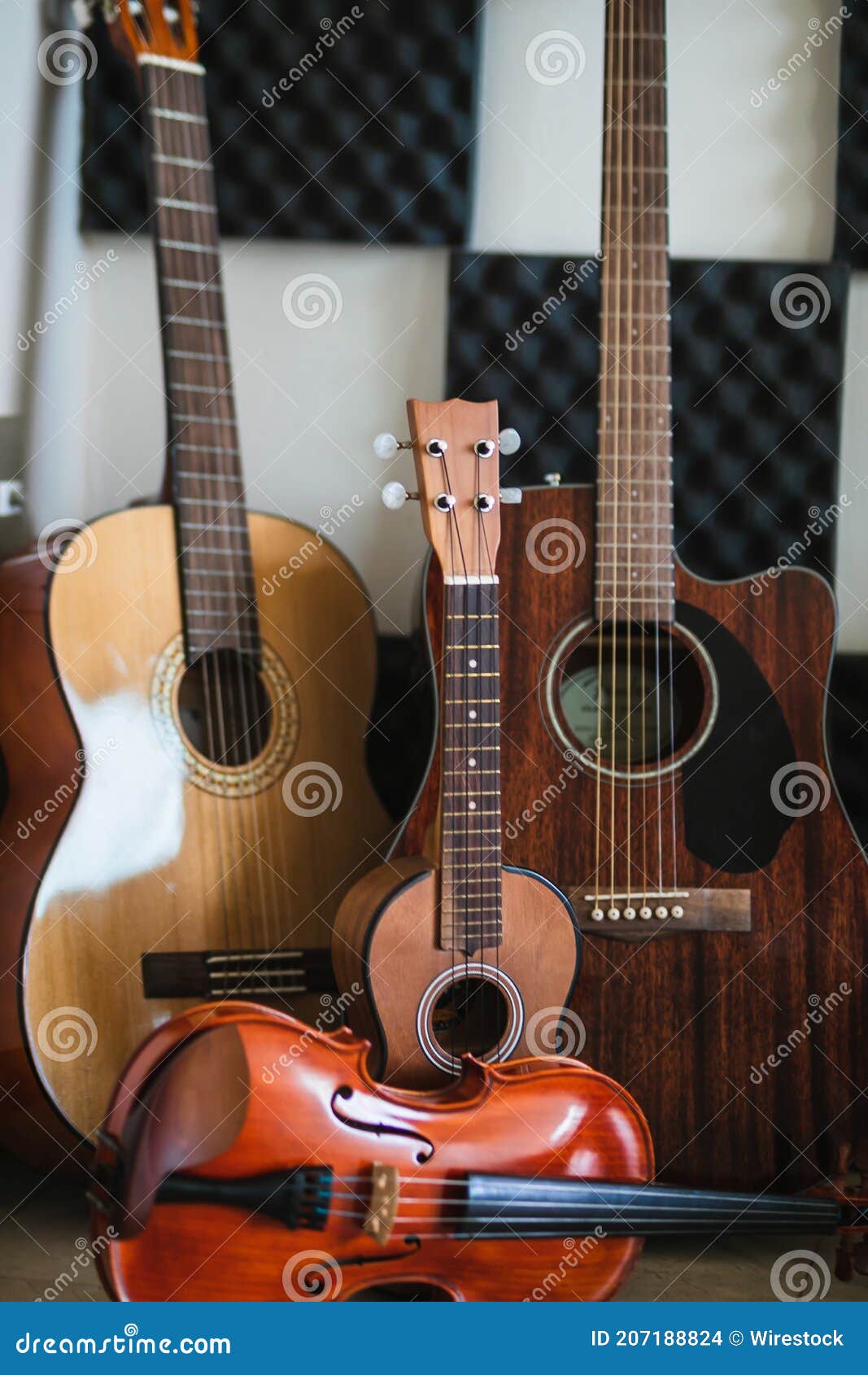Vertical Shot of Different Musical String Instruments for a School of ...