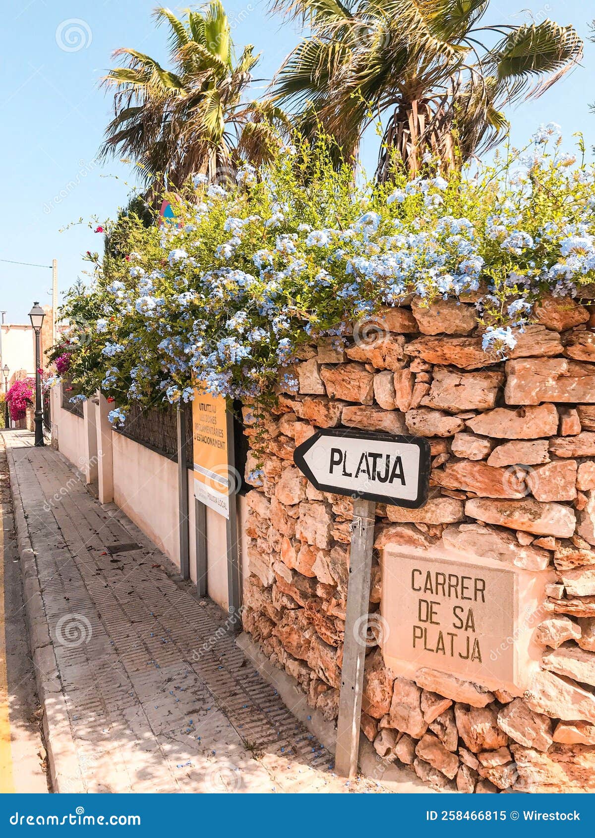 Vertical Shot of the Directional Sign: Beach with Palm Trees in the ...