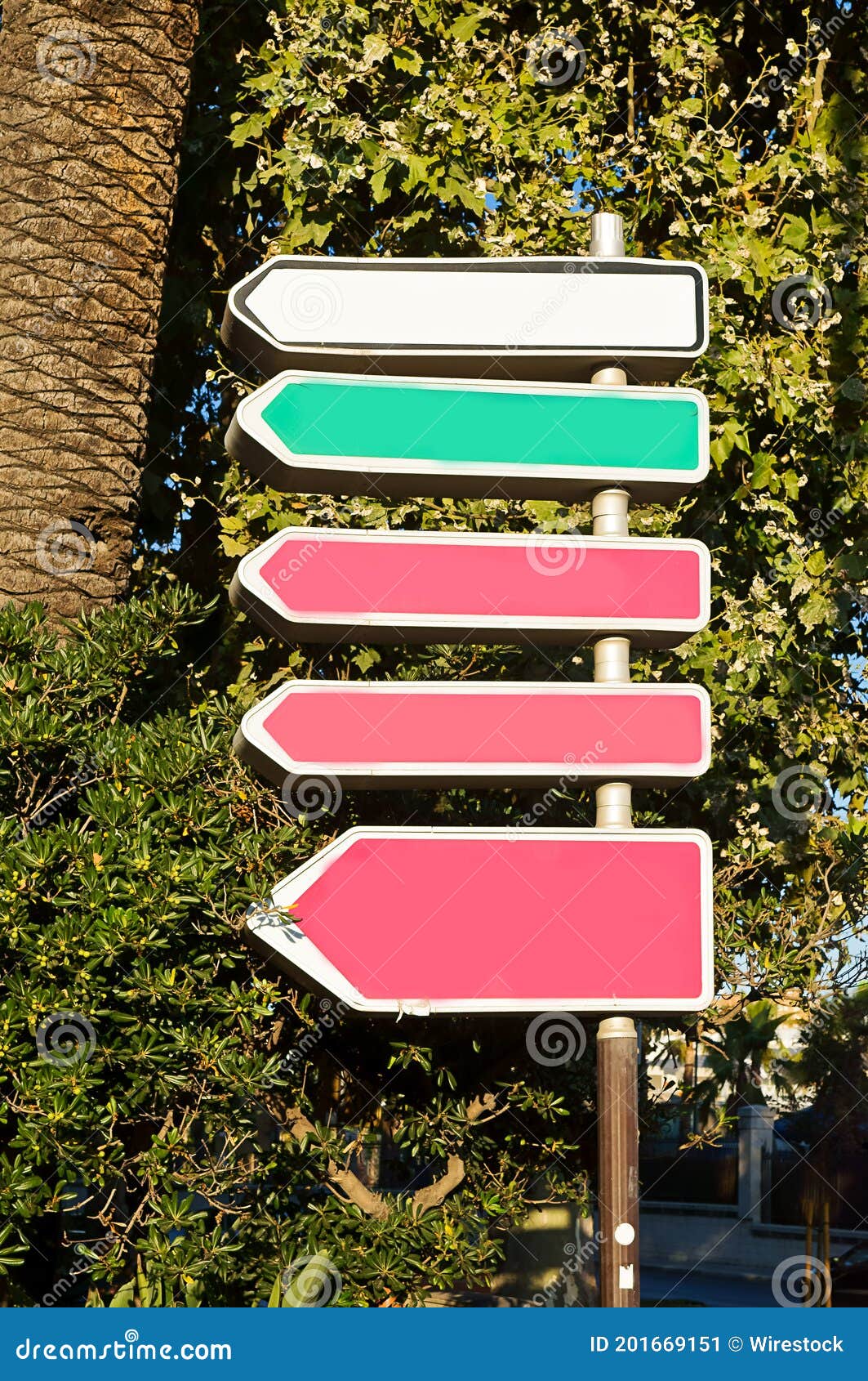 Vertical Shot of Directional Signs with Space for Text Stock Image ...