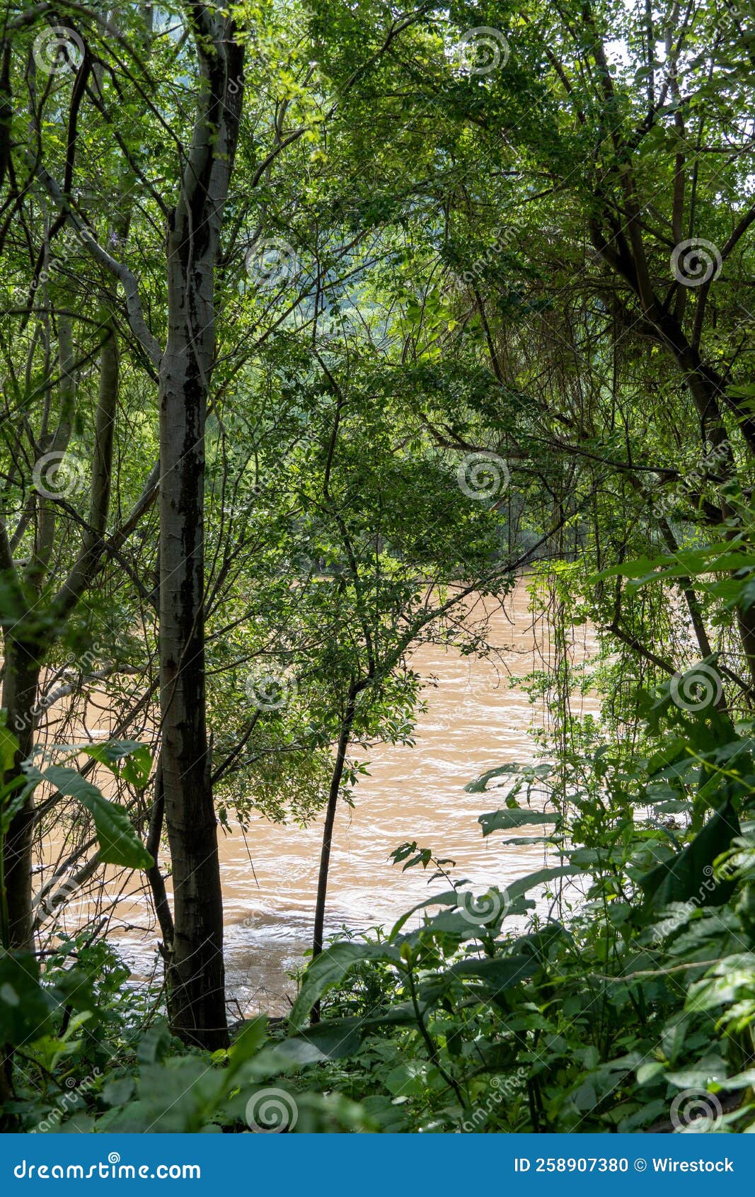 Vertical Shot of a Dirty River in the Huentitan Ravine Stock Photo ...