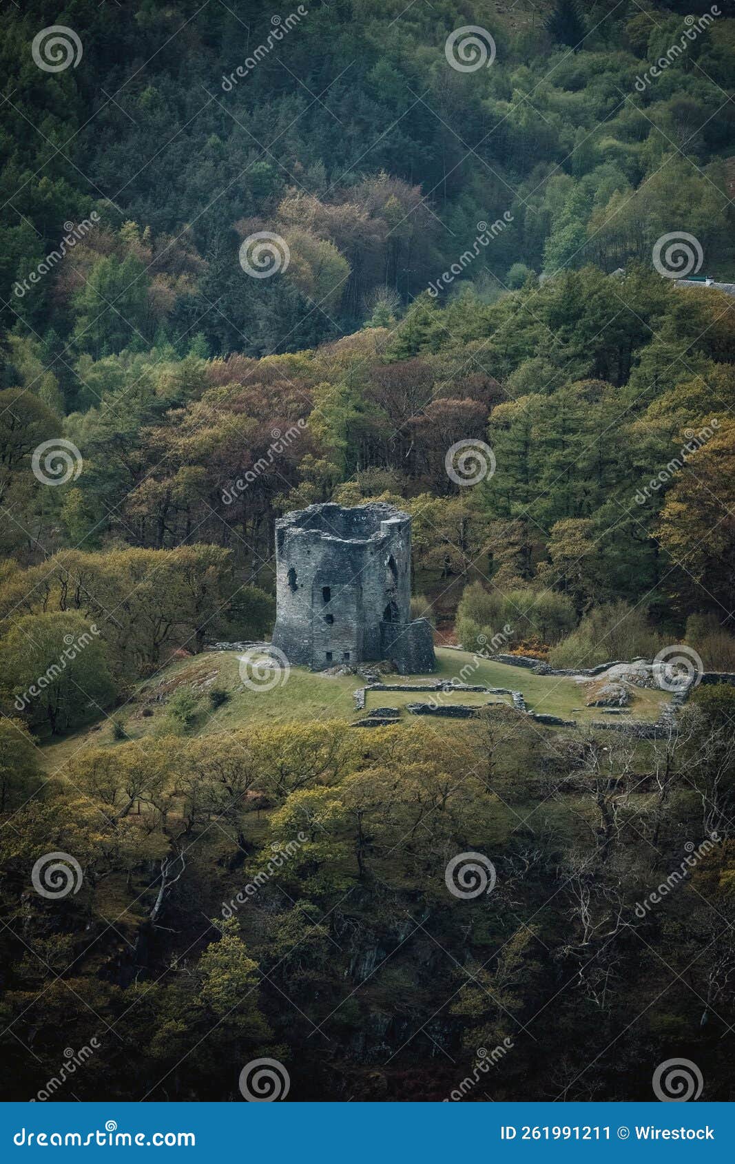 Vertical Shot of Dolbadarn Castle in Wales Stock Image - Image of ...