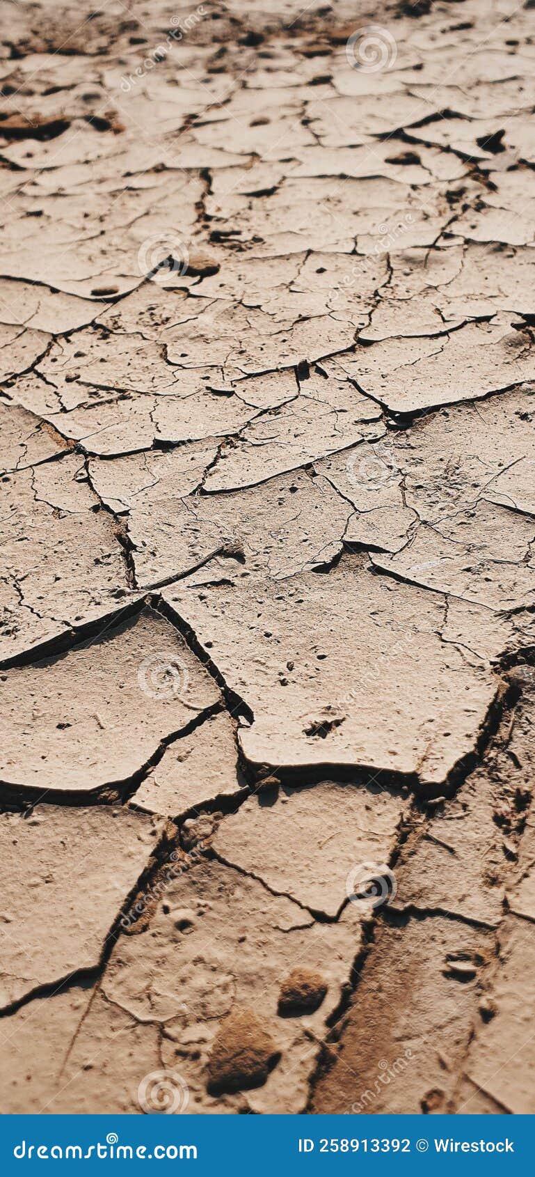 Vertical Shot of Drought on a Sunny Day Stock Photo - Image of sunny ...