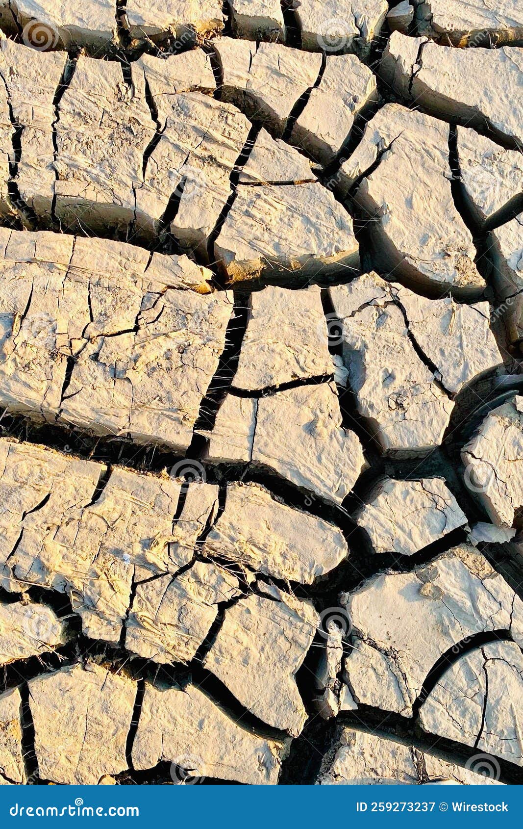 Vertical Shot of Dry Cracked Dirt Ground. Stock Image - Image of ...