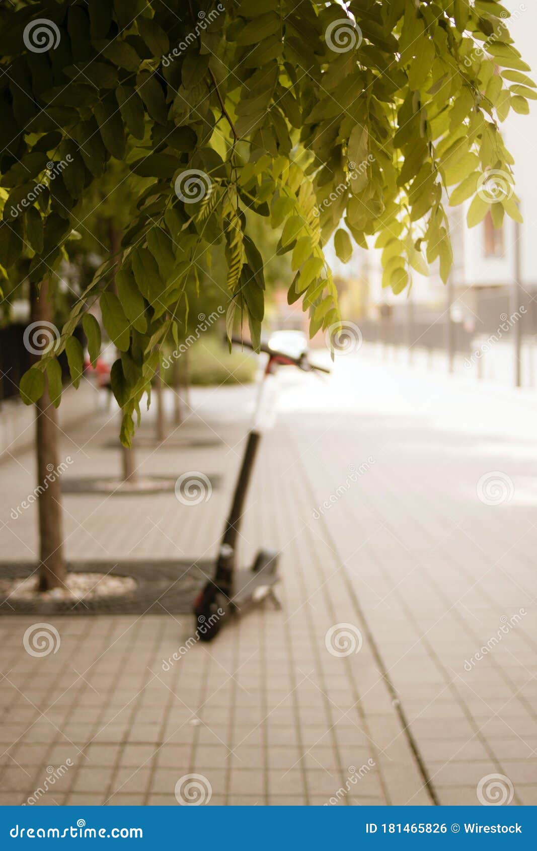 Vertical Shot of an Electric Scooter Parked Under the Tree Stock Photo ...