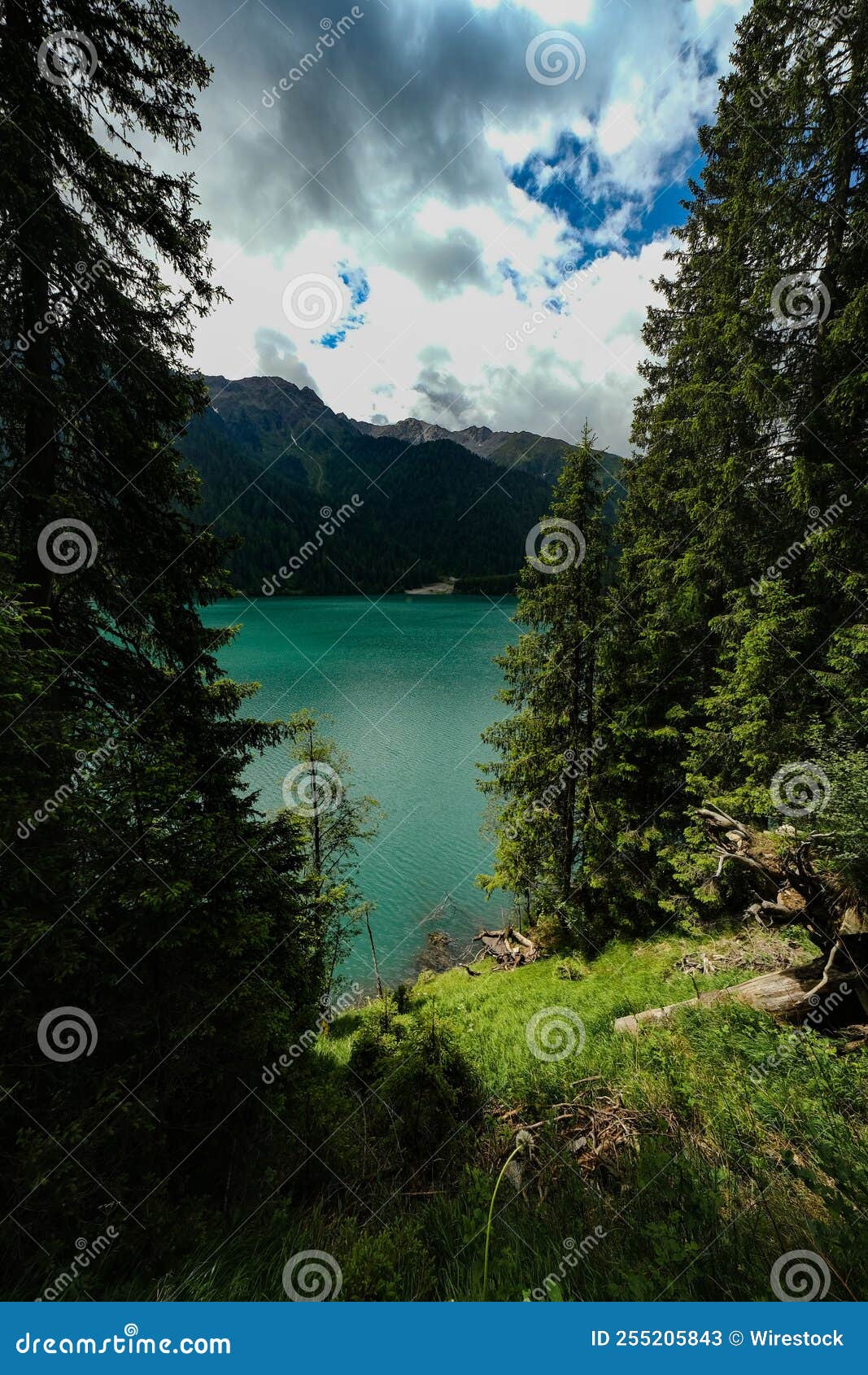 Vertical Shot of an Emerald Green Lake from a Forest with Cloudy Sky ...